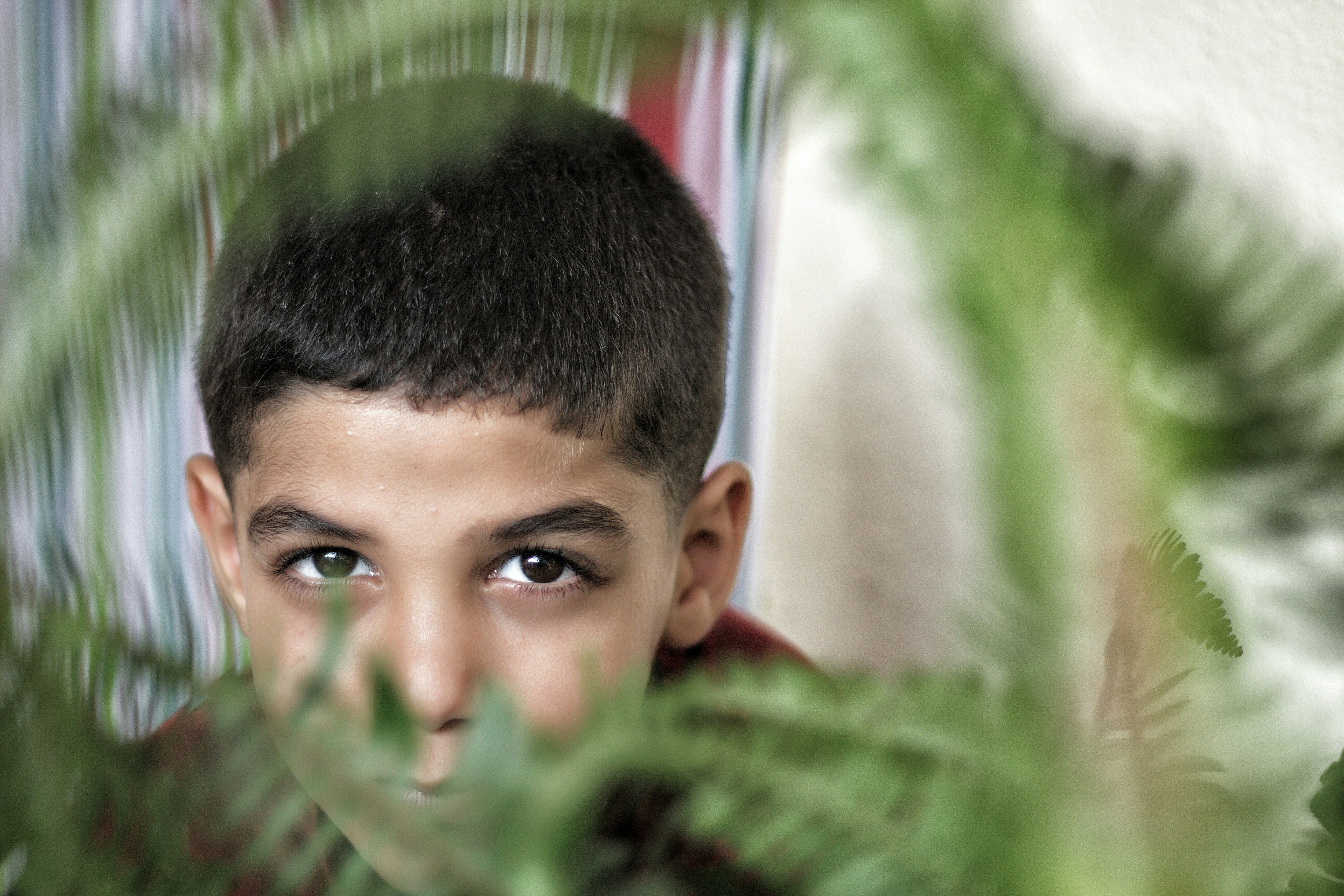 Hidden gaze: a boy's face emerges through tropical fronds
