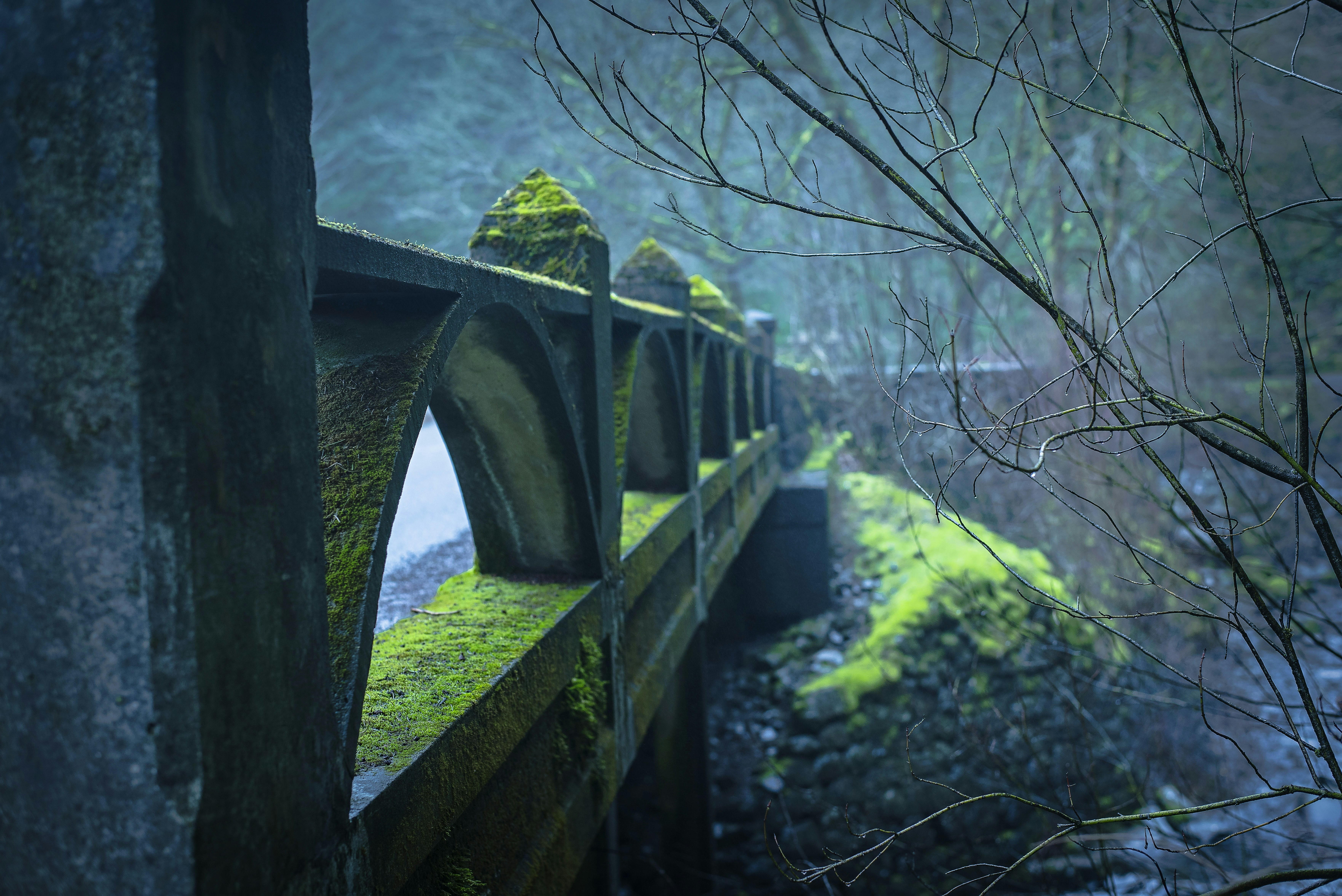 A moss covered bridge over a stream in the woods photo – Free Roadside ...
