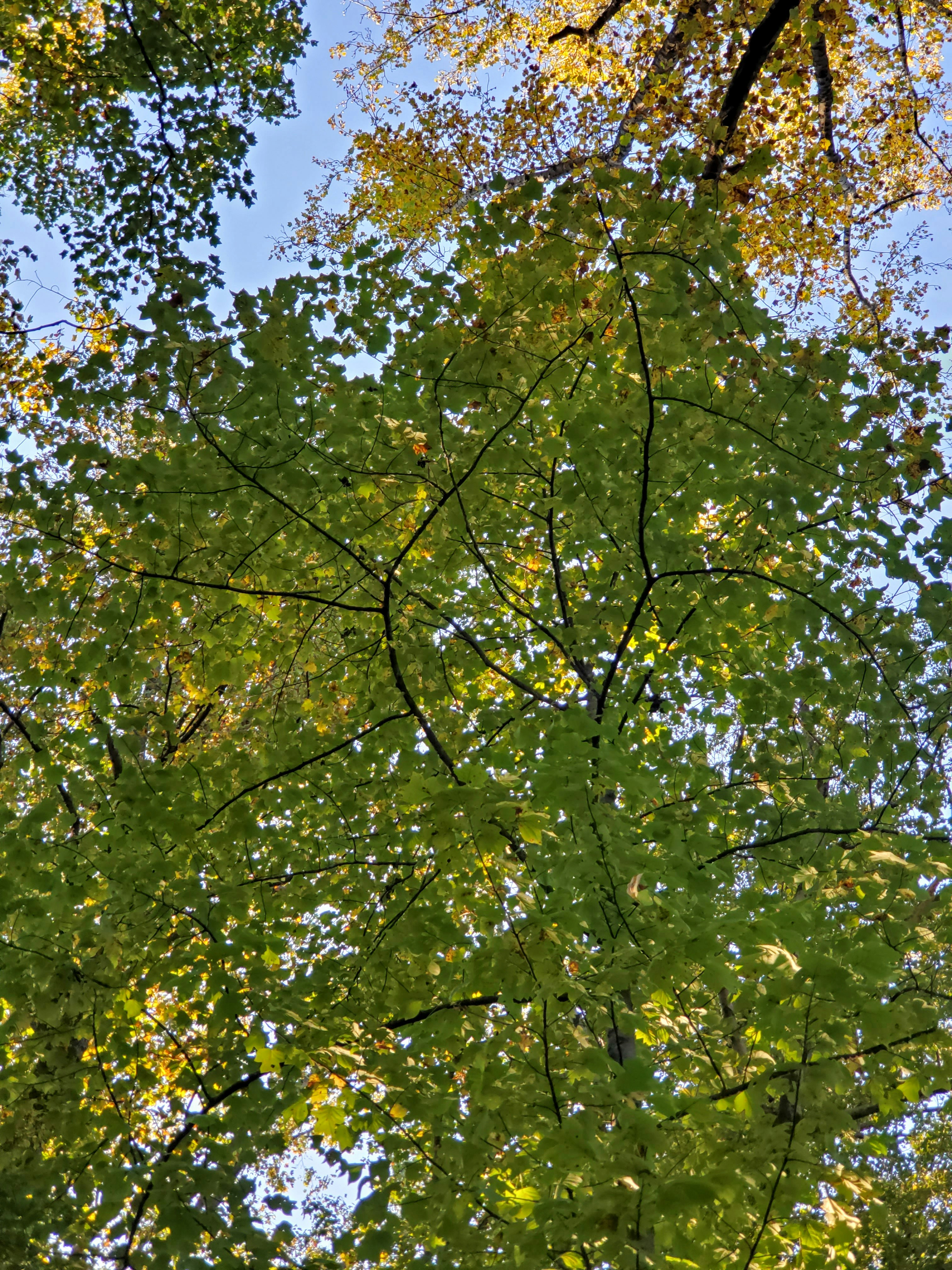 Photo by Kara Carelle with Samsung Galaxy S10