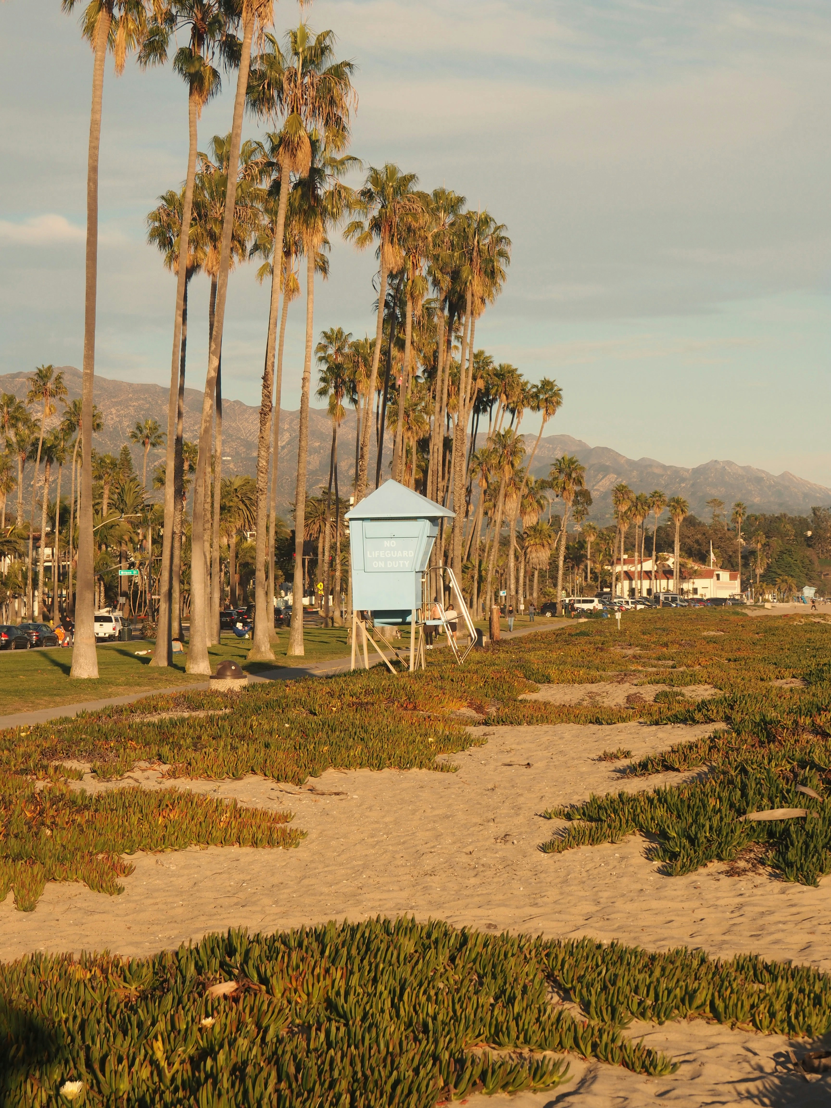 Coastal Lifeguard Tower Beneath a Row of Palms at Golden Hour