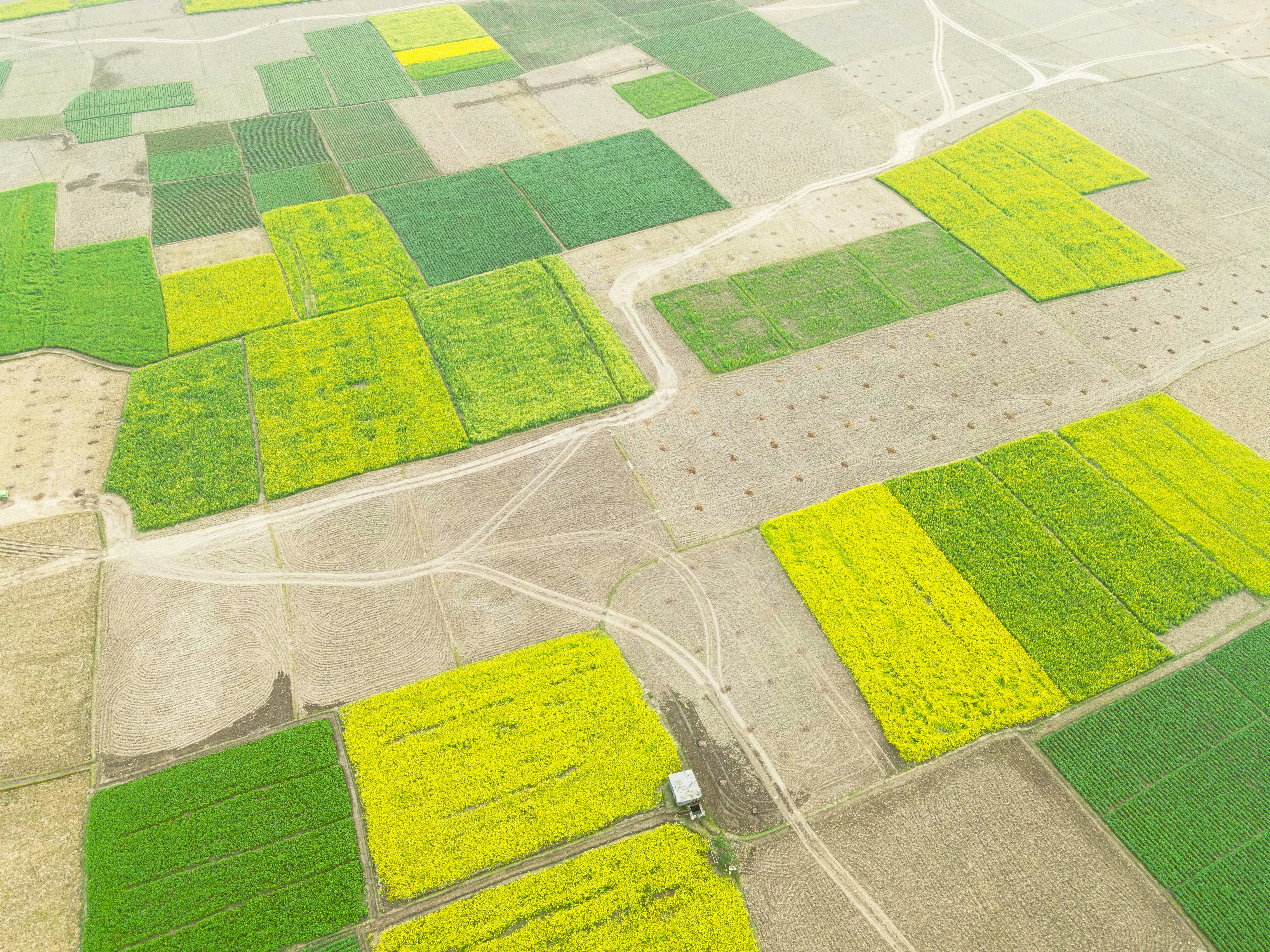 Sorisha Khet, Bangladesh Photos | Télécharger des images gratuites sur ...