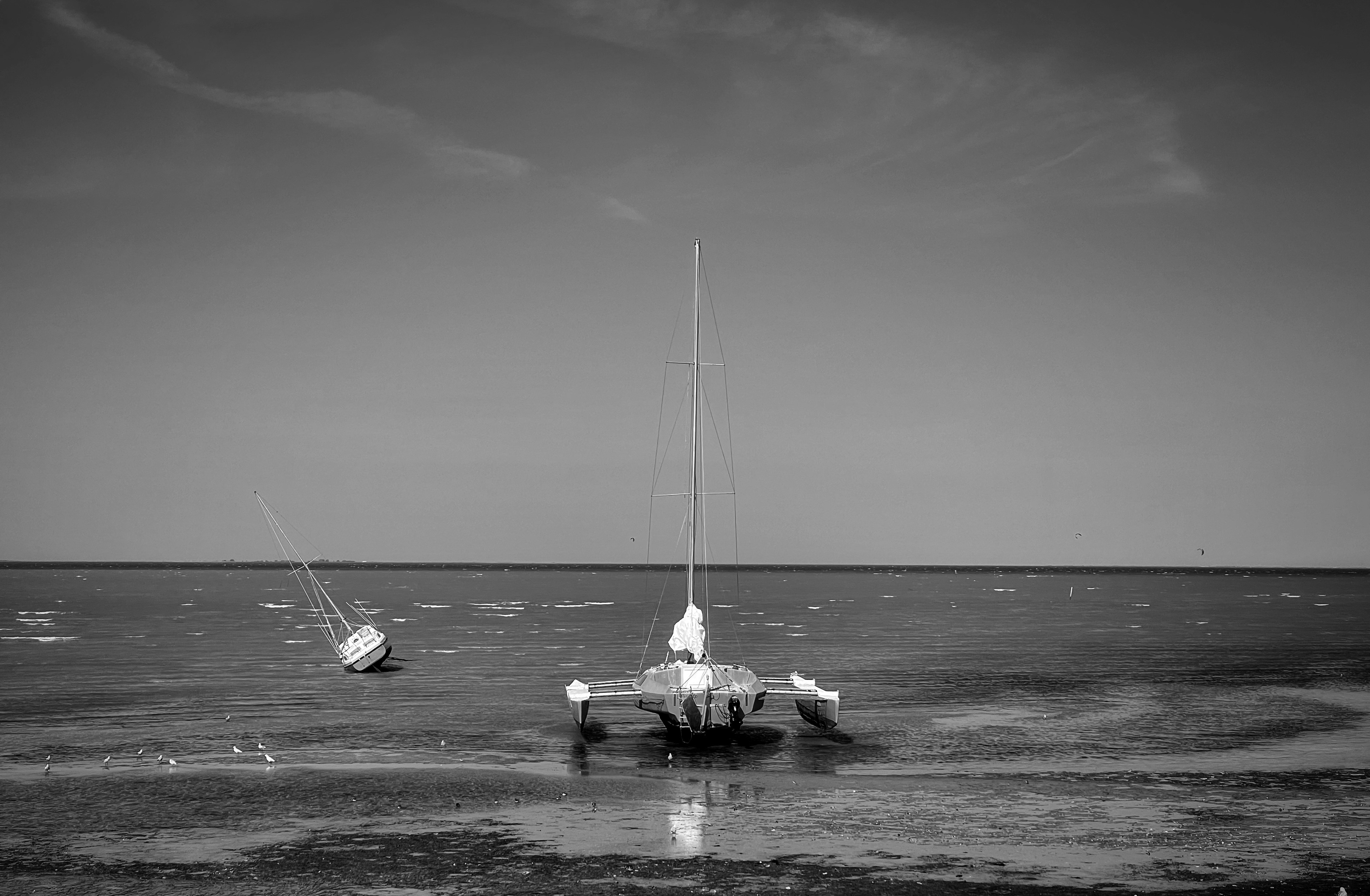 Grounded Pictures | Download Free Images on Unsplash