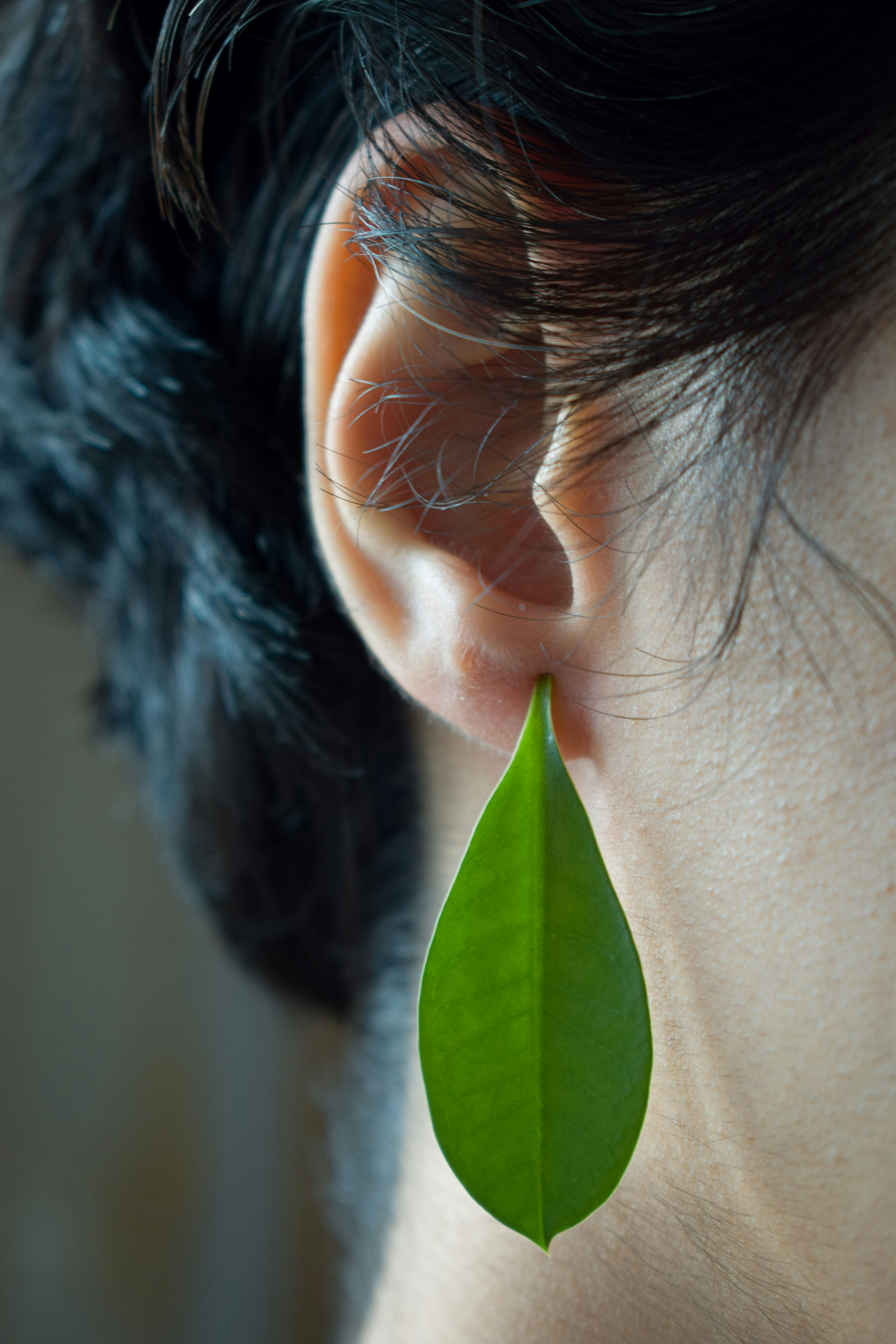Verdant Dangle: A Leaf Earring Framing the Ear in Soft Light