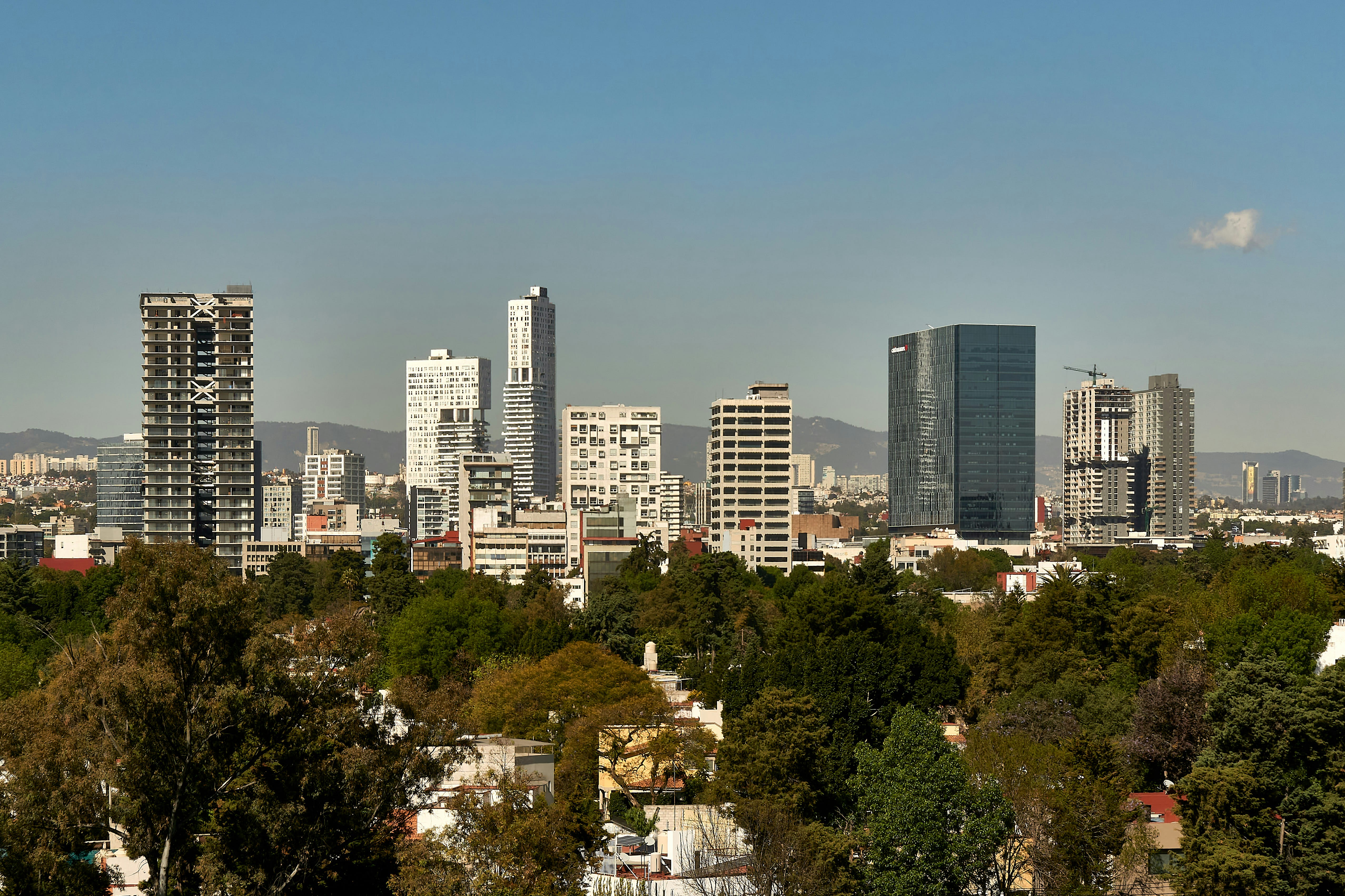 A vibrant city skyline showcasing a mix of contemporary architecture against a clear blue sky. The greenery in the foreground contrasts with the urban landscape.