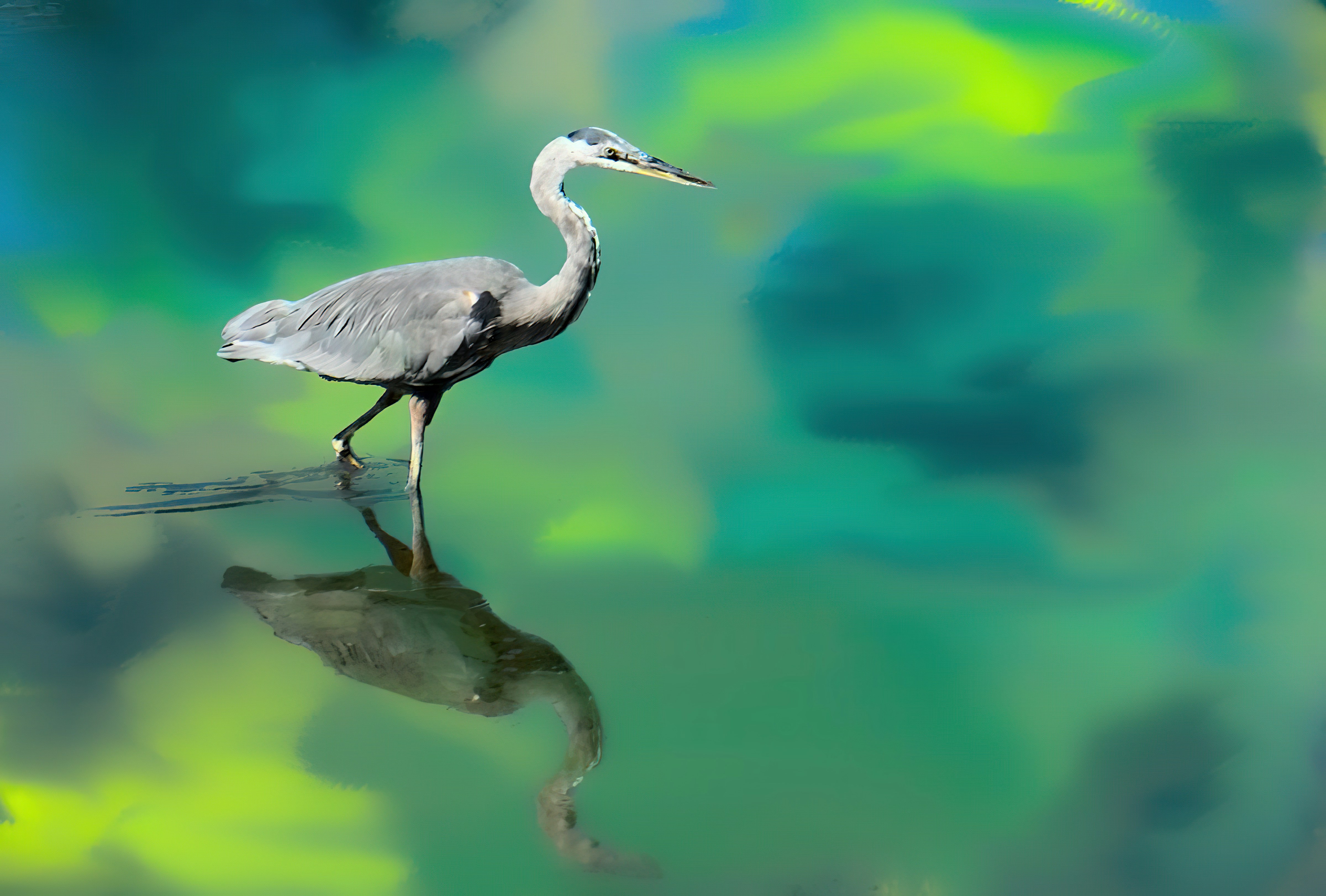 Heron in Calm Water: Silent Reflection Under a Kaleidoscopic Sky