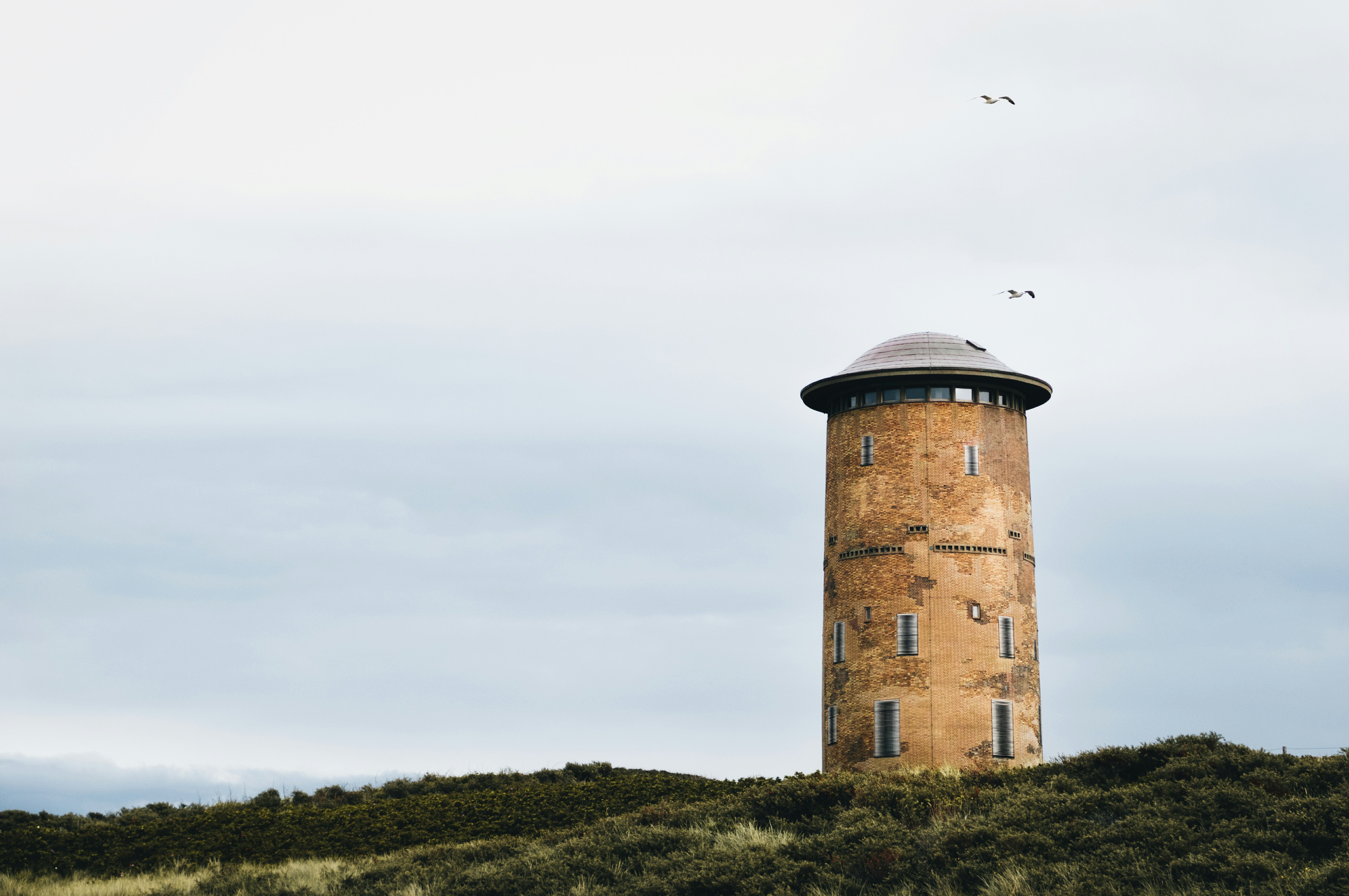A solitary stone tower rises against a cloudy sky, surrounded by lush greenery and distant birds in flight.