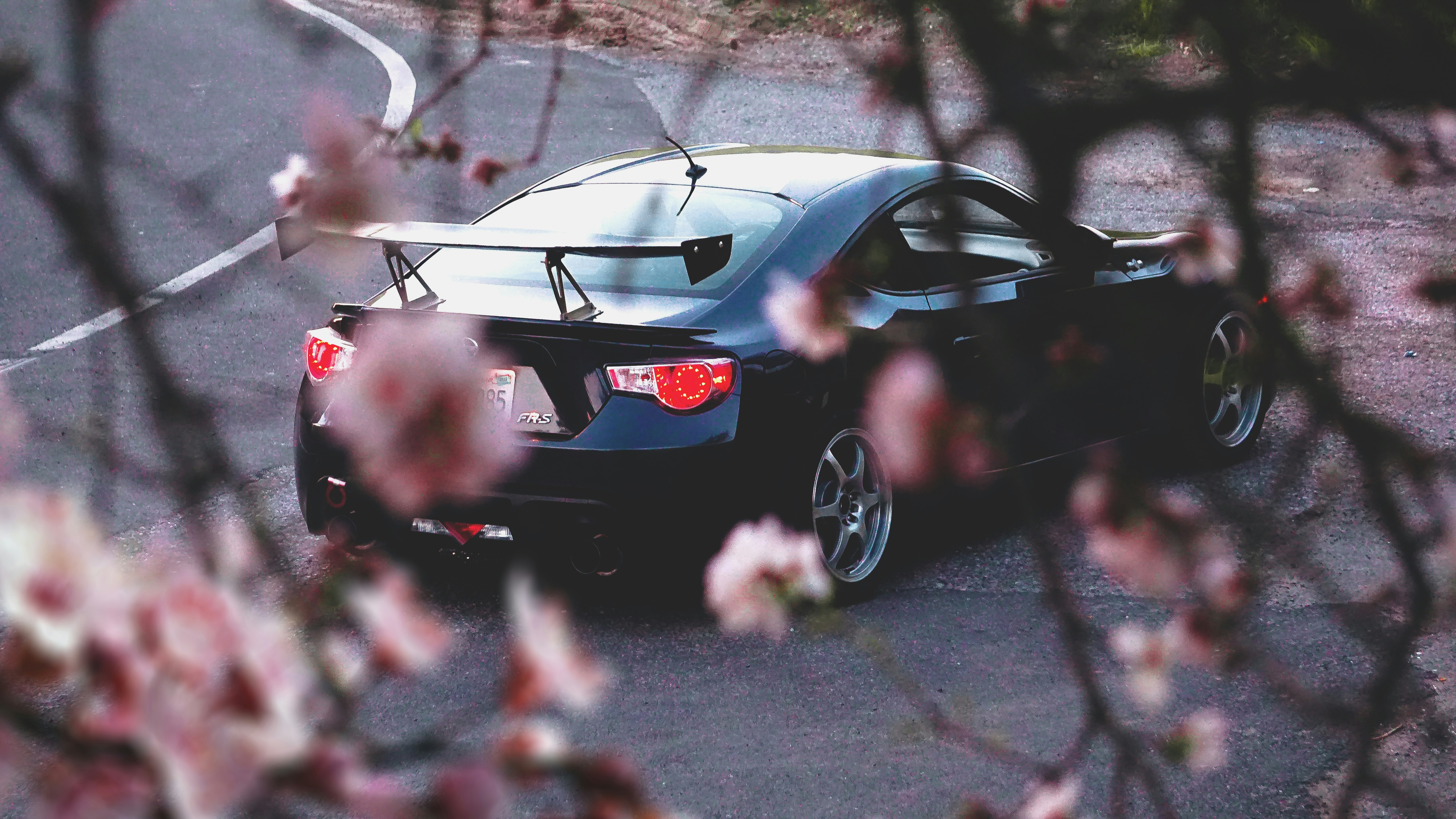 A sleek black sports car parked on a winding road, framed by delicate pink blossoms in full bloom.
