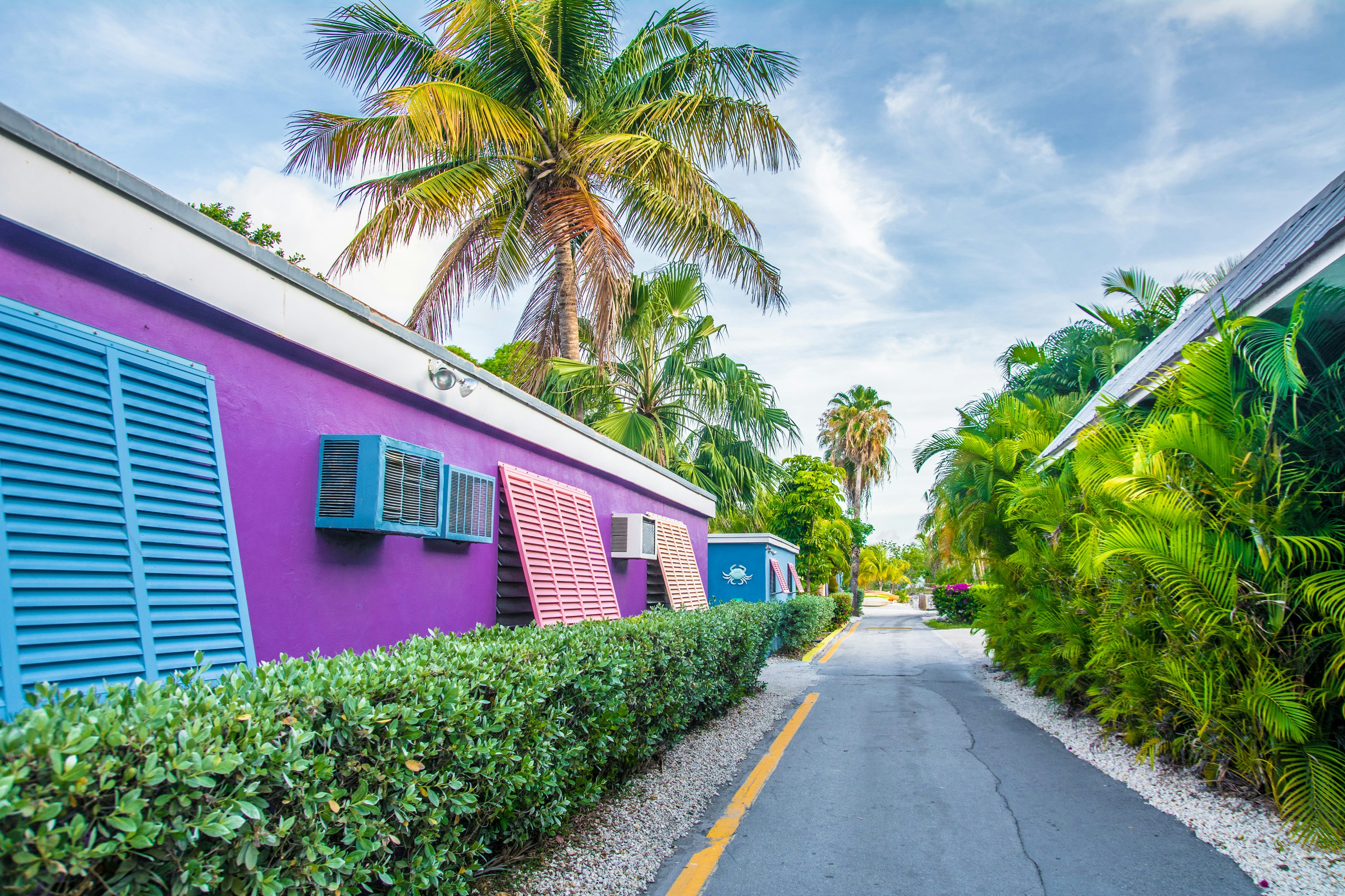 Vibrant Resort Row: Colorful Wall Panels and Tropical Alley