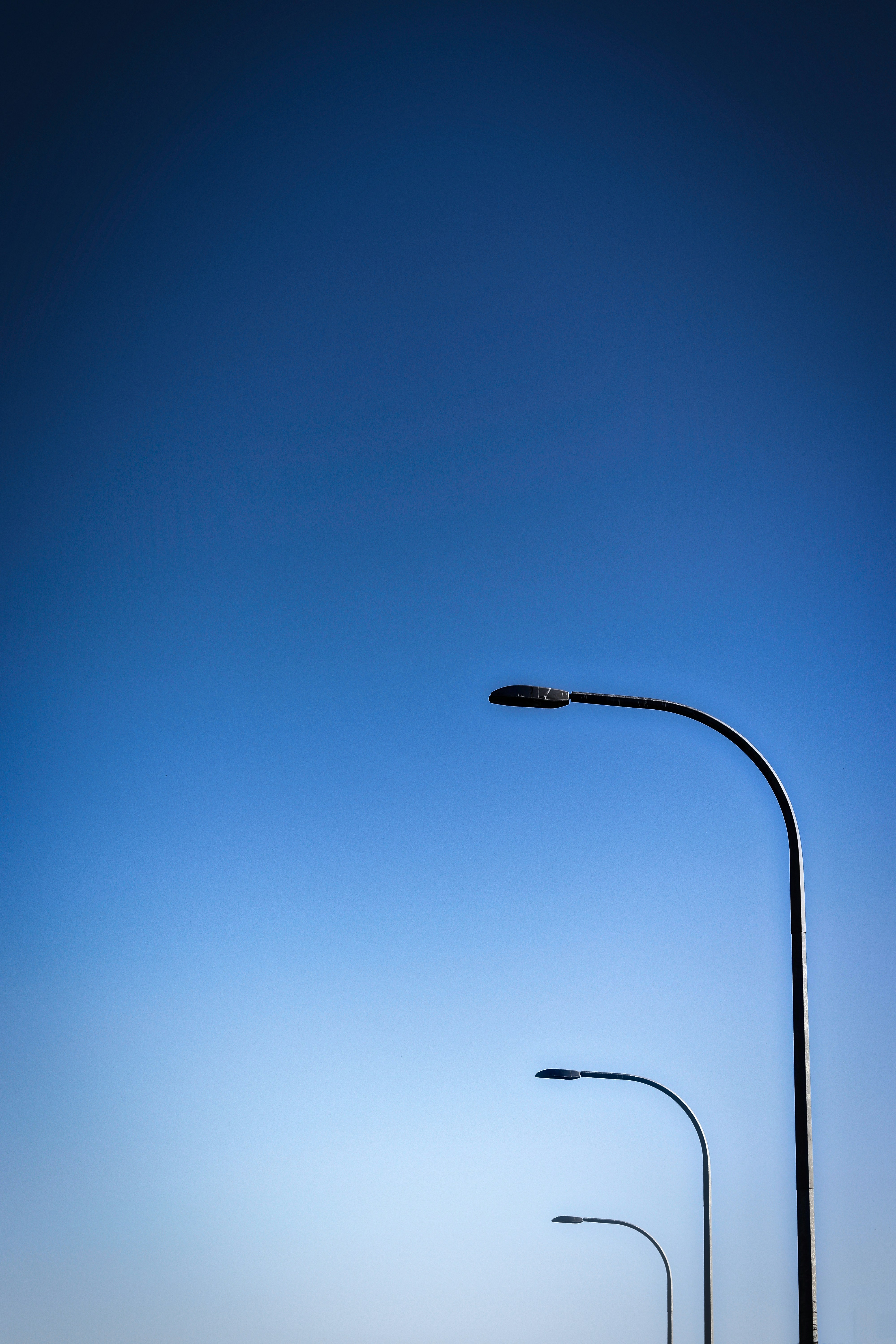 A couple of street lights sitting on the side of a road photo – Free ...