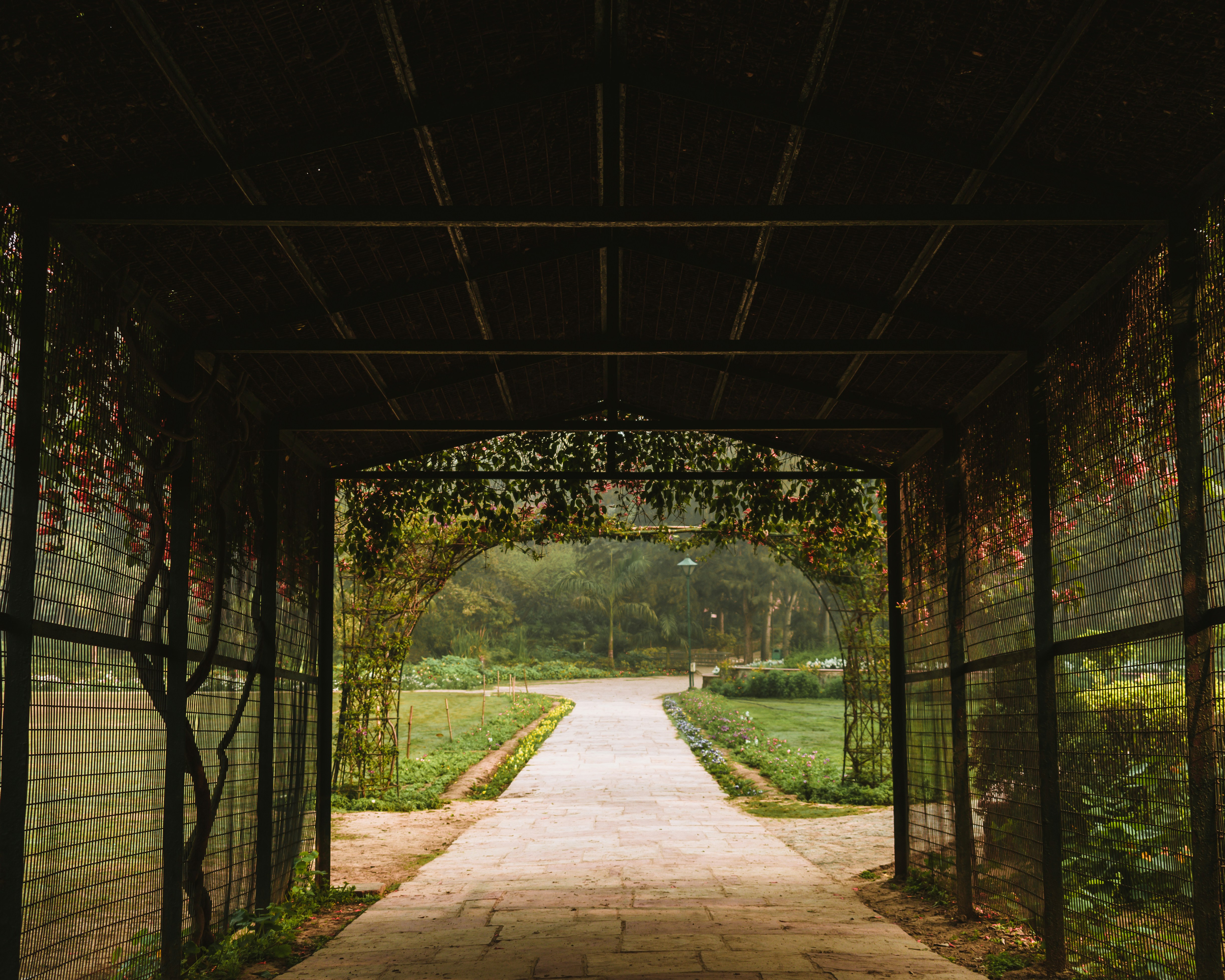 A walkway in a park with vines growing on it photo – Free Garden Image ...