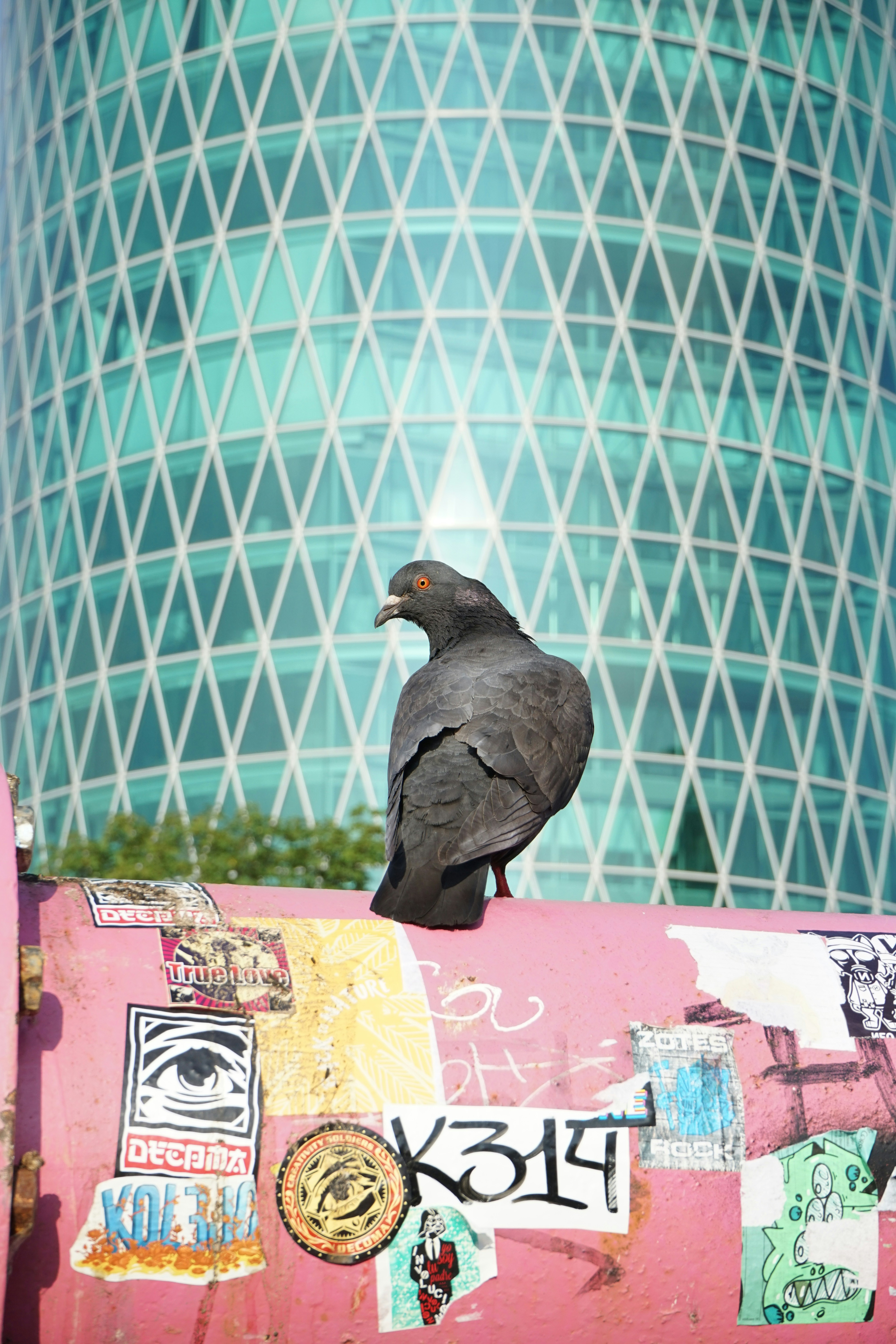 a black bird sitting on top of a pink post