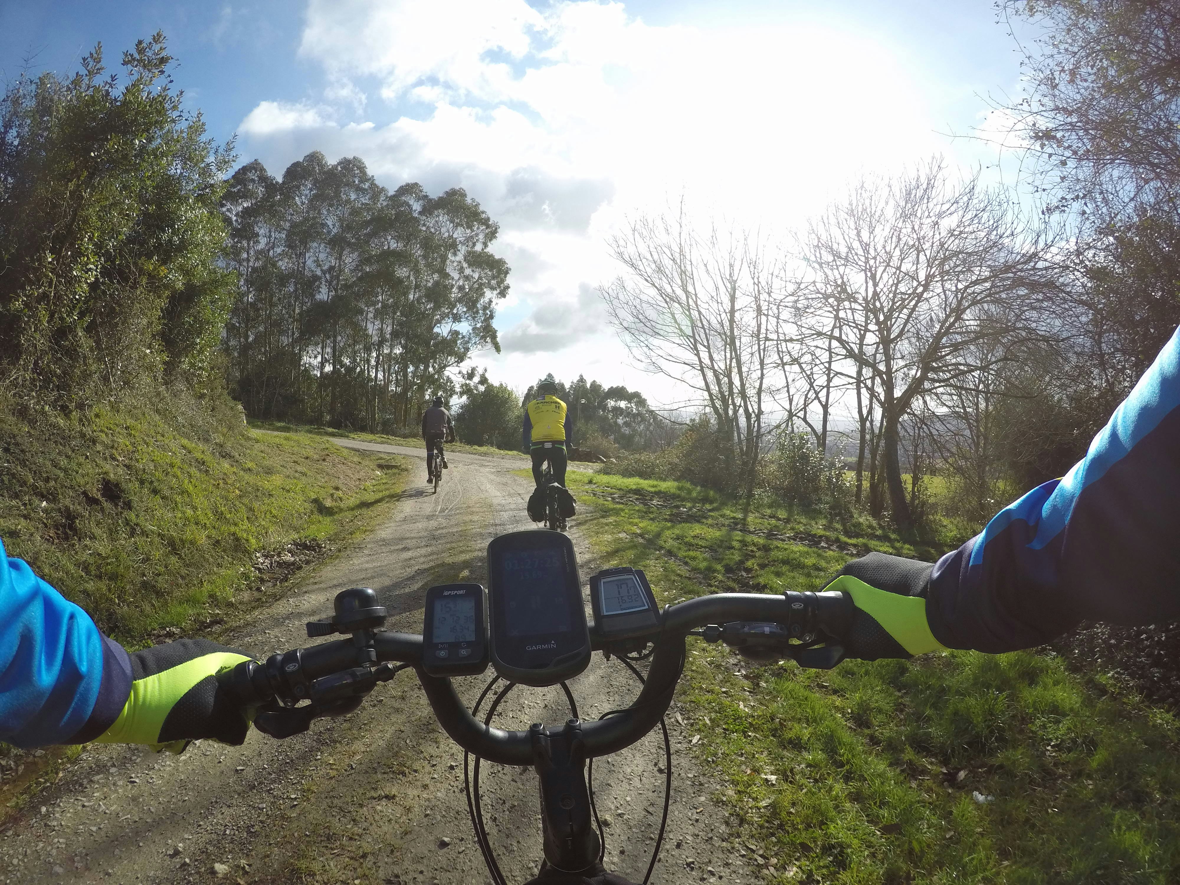 Cyclist's view on a forest trail with sunlight streaming through trees.
