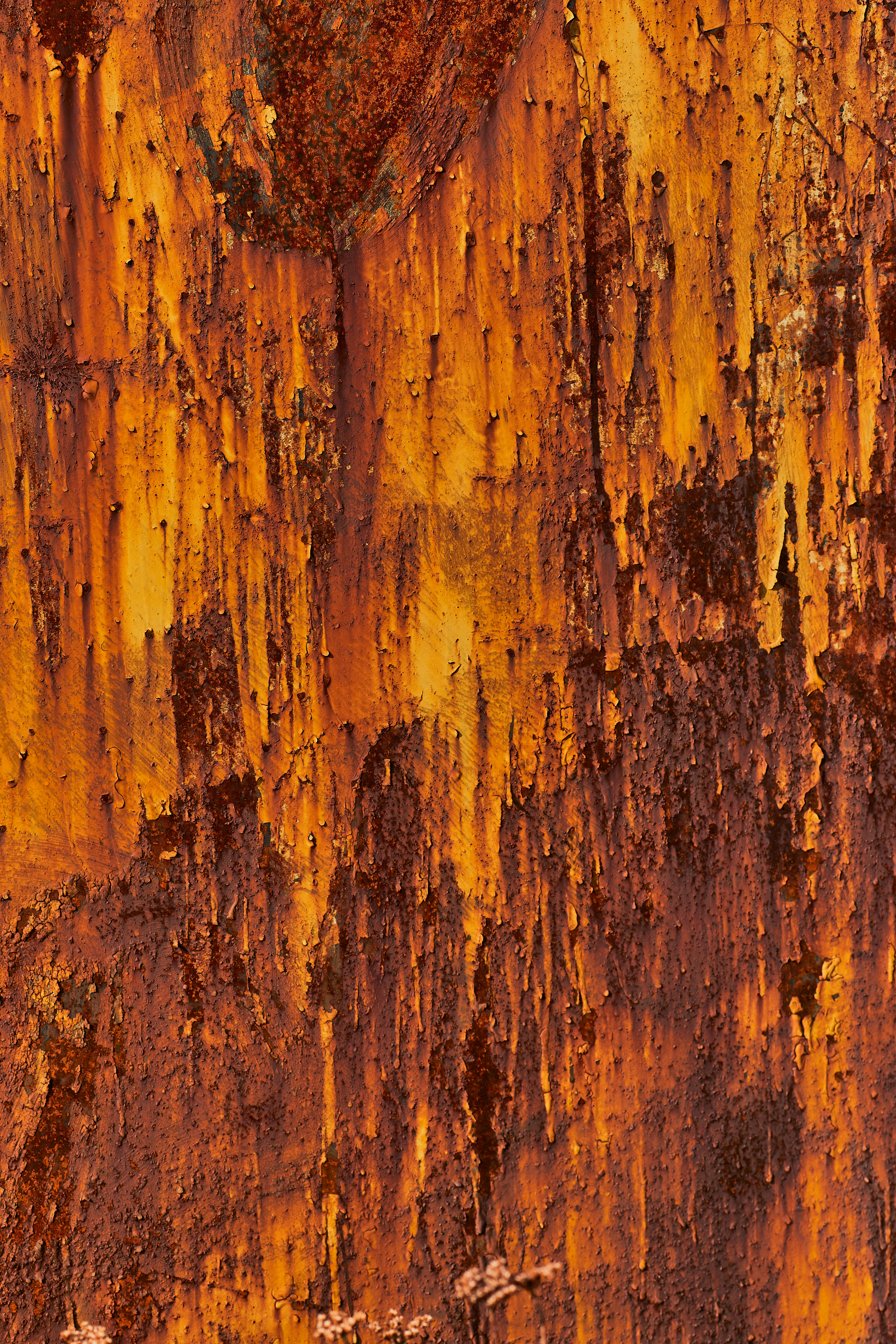 Close-up of rusted metal surface showcasing vibrant orange and brown textures with intricate patterns. The image highlights the beauty found in decay.