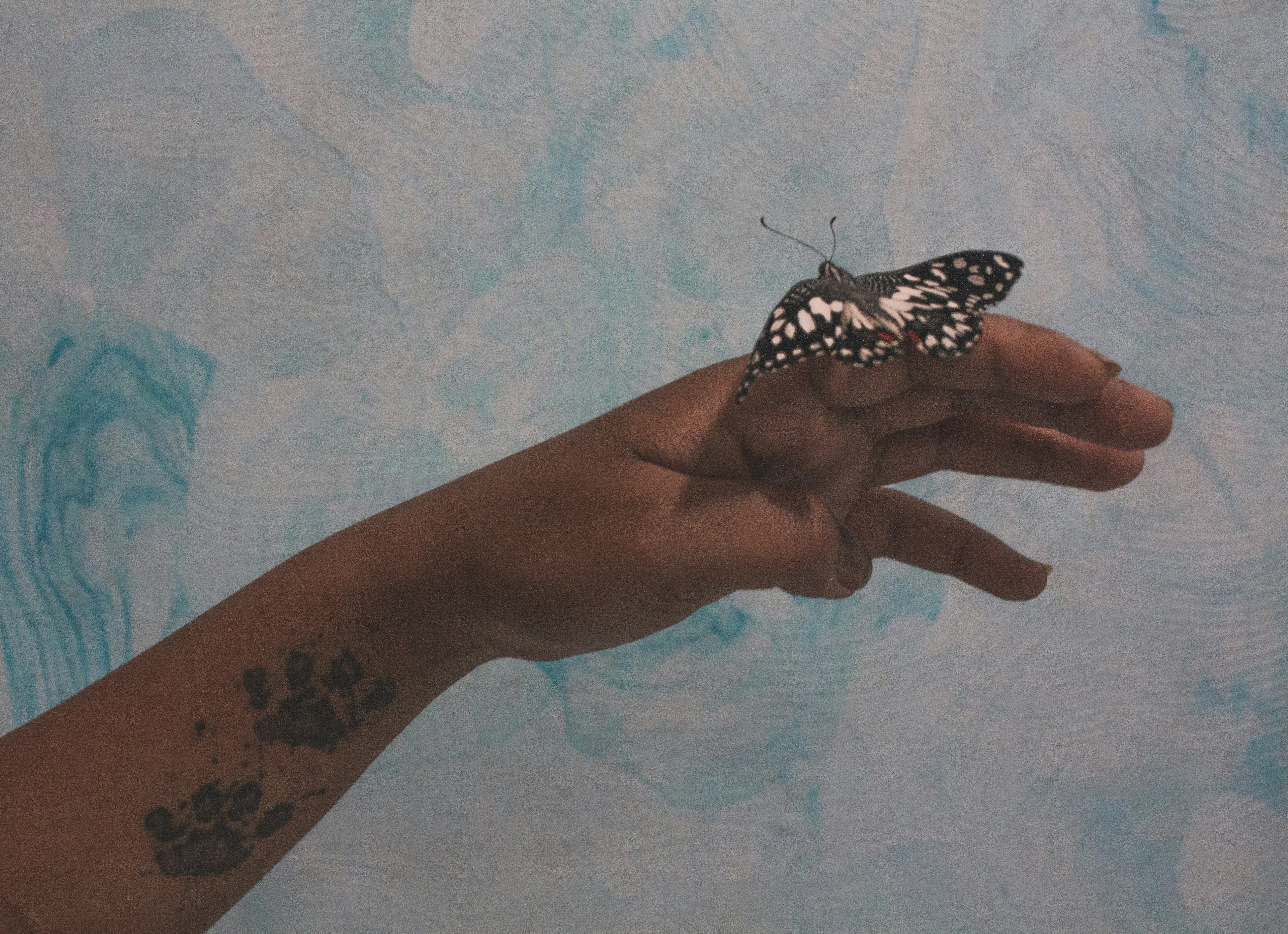 Wing and Welcoming Touch: A Butterfly Resting on a Tattooed Hand Against Blue Linen