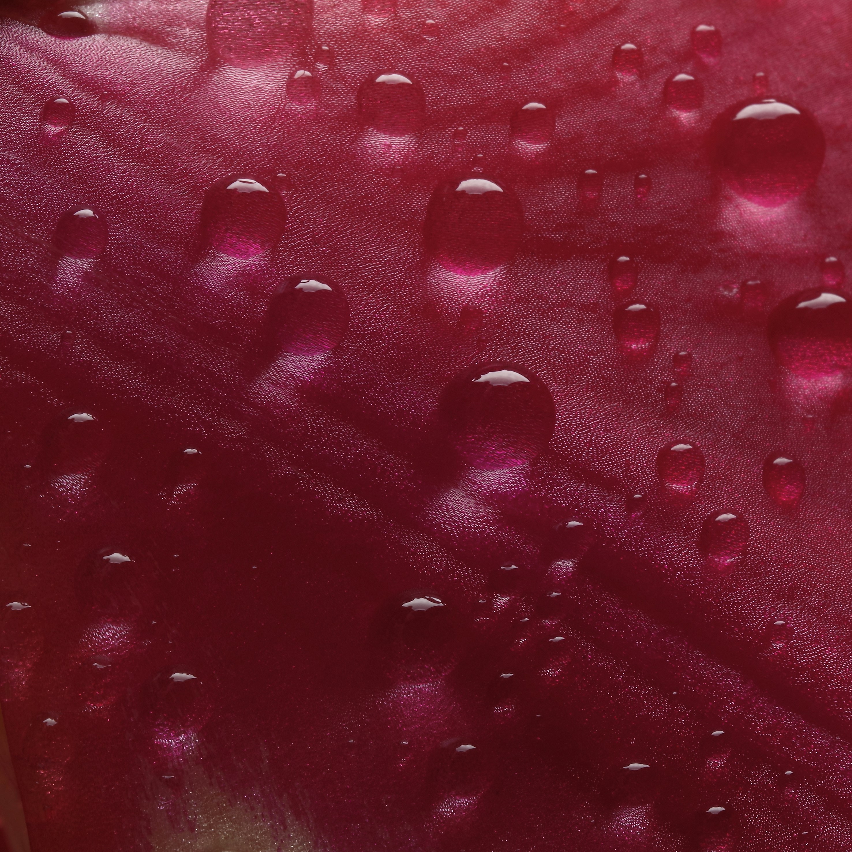 Macro photograph of dew droplets on a crimson rose petal, emphasizing texture and light reflections.
