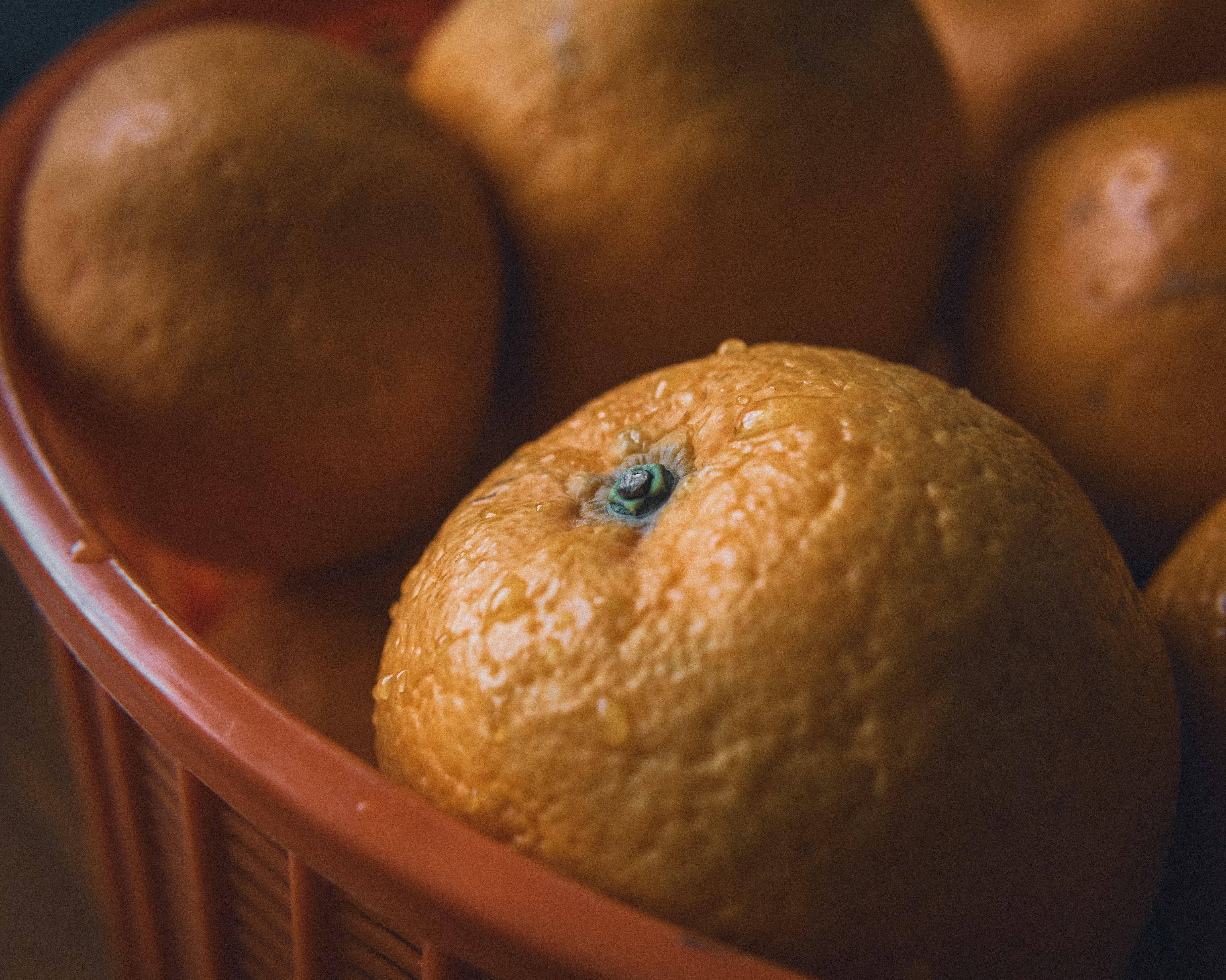 Warm Lighting, Sharp Focus: The Foreground Orange at the Basket Edge