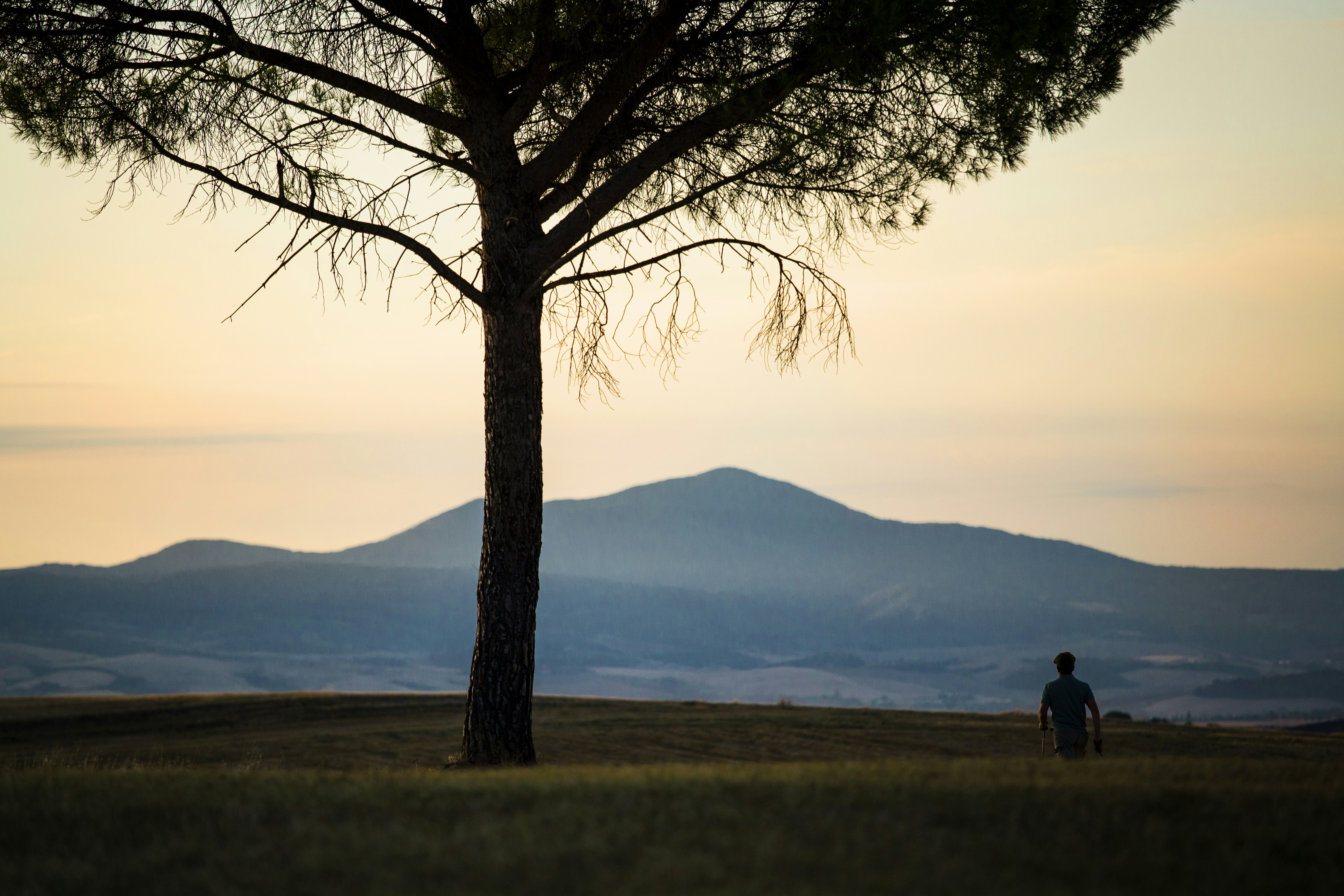 Un homme debout sous un arbre au sommet d’une colline photo – Photo ...