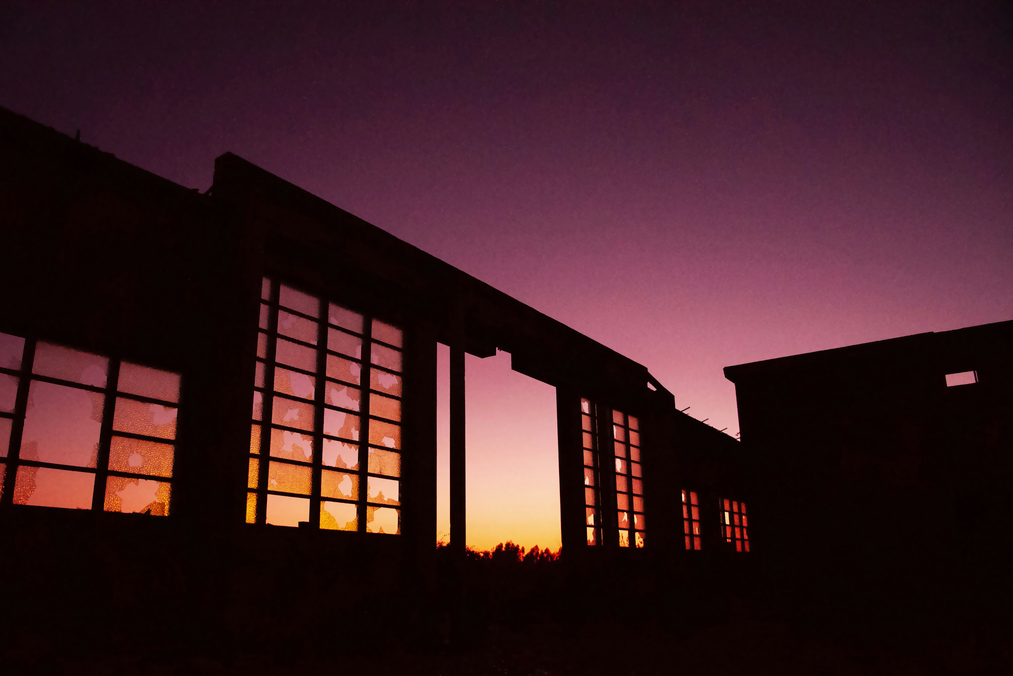 Windows at Dusk: Silhouettes in a Ruined Hall