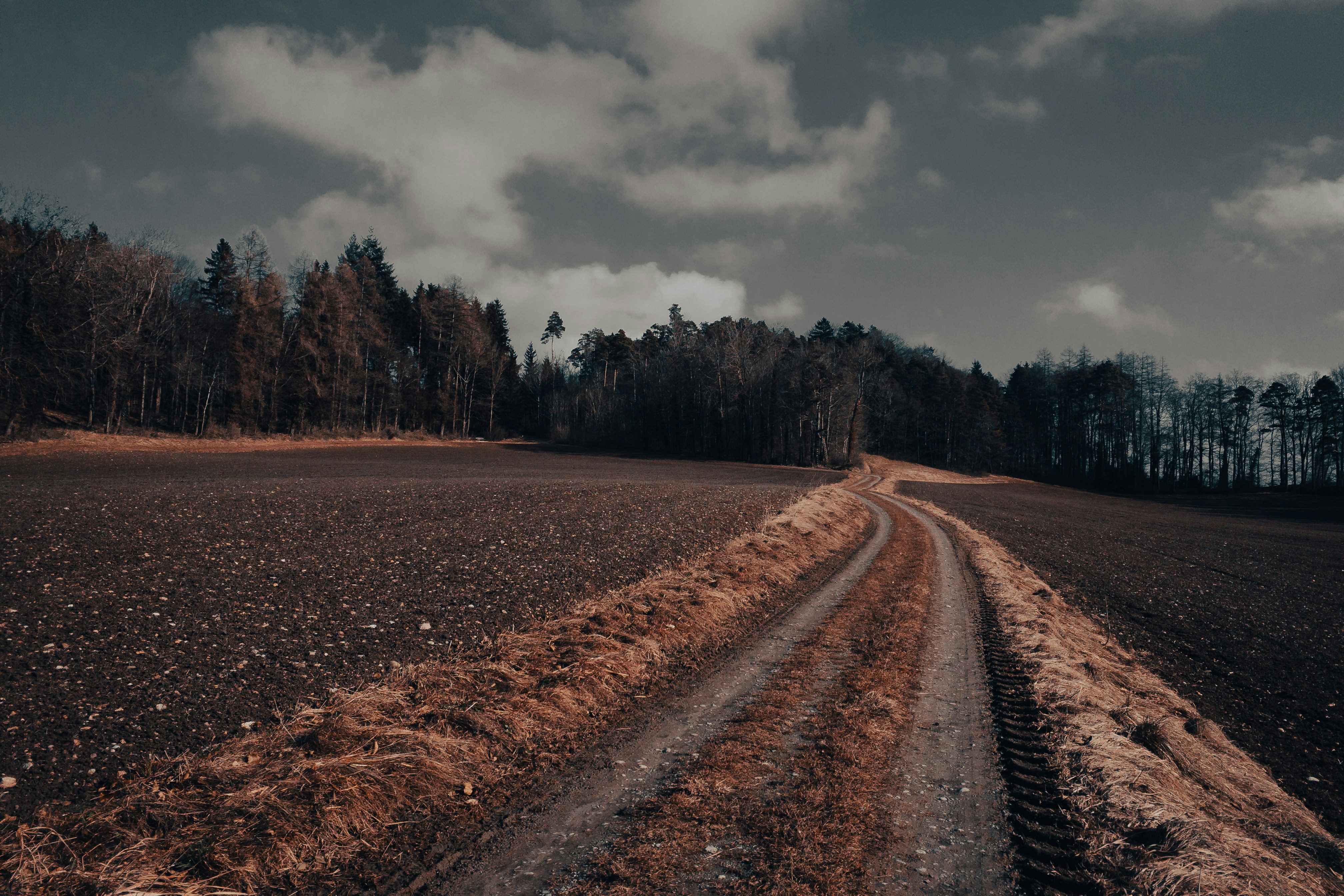Winding dirt road cutting through a plowed field with trees lining the horizon under a cloudy sky.