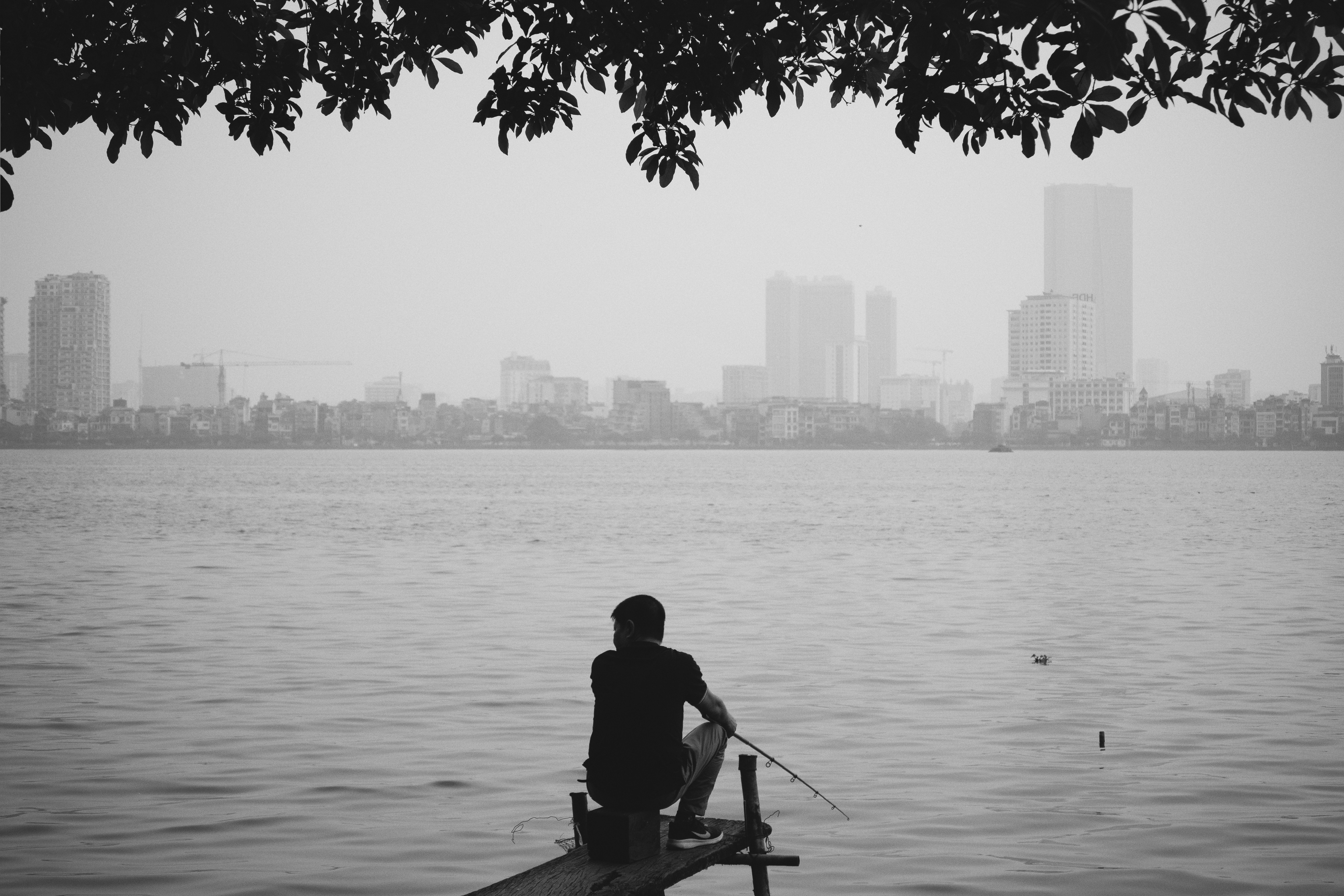 Silhouetted Solitude by the Water's Edge