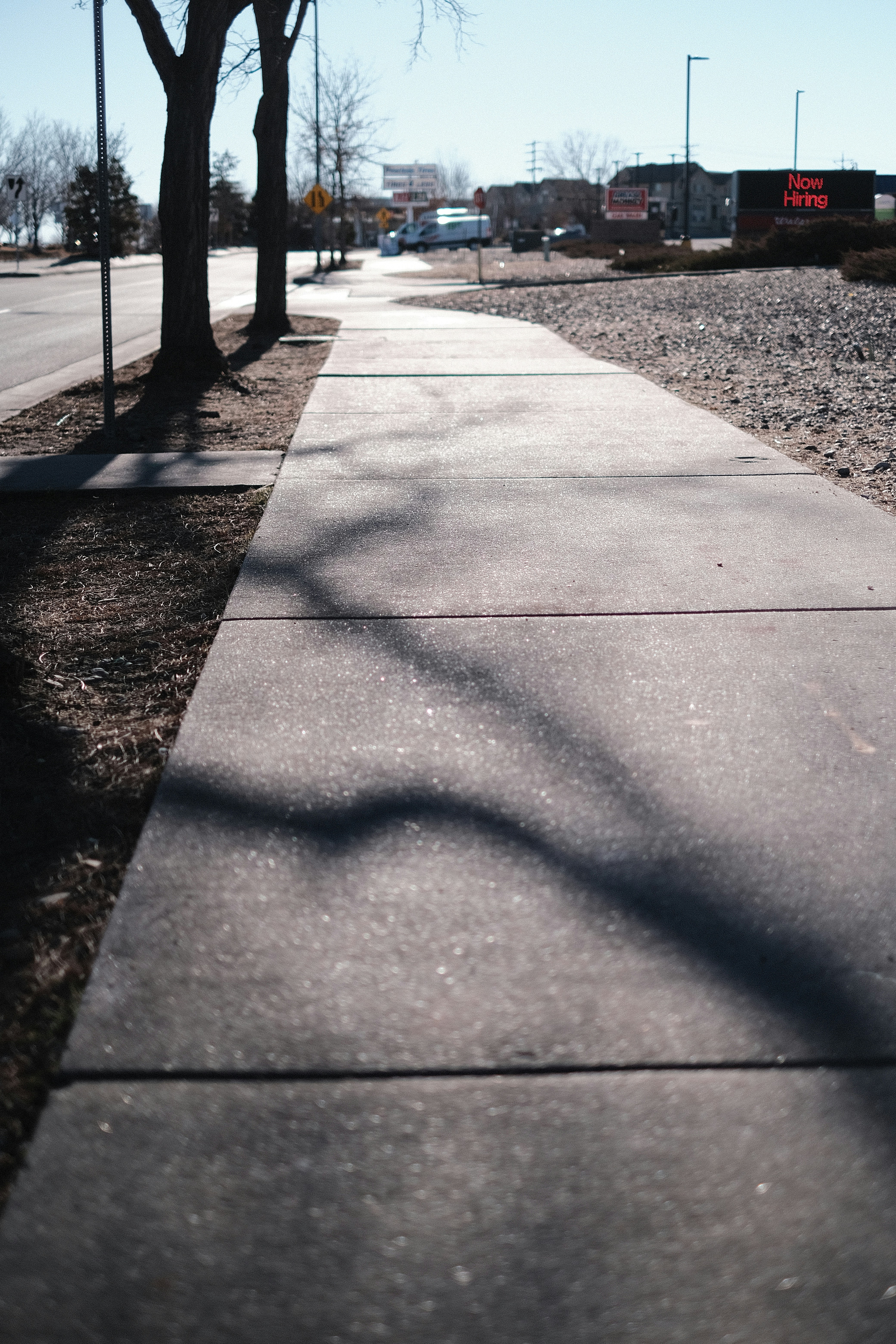 Concrete sidewalk under a clear blue sky, framed by trees casting intricate shadows. A hint of urban life is visible in the background.
