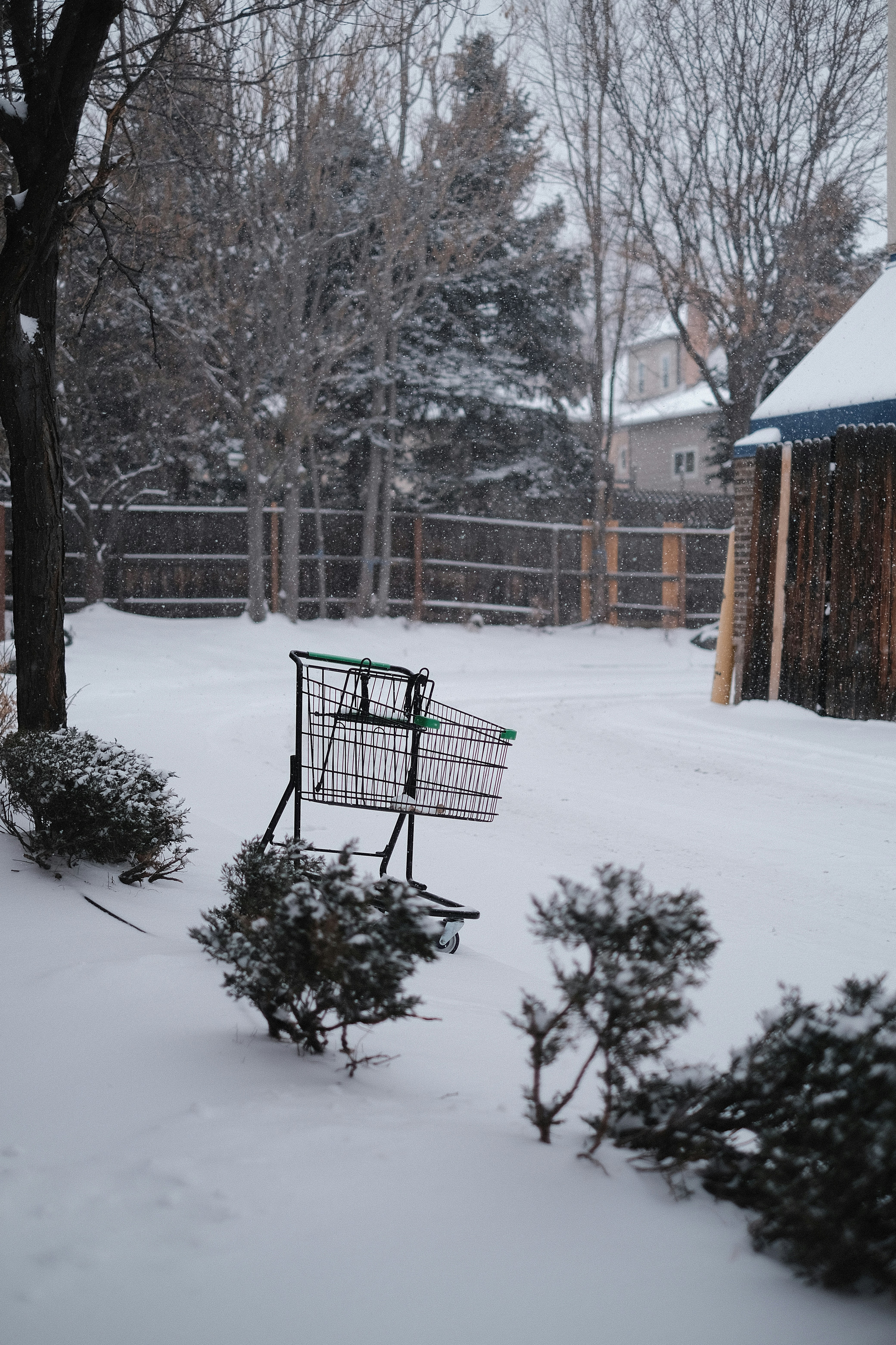 Abandoned Shopping Cart in Fresh Snow