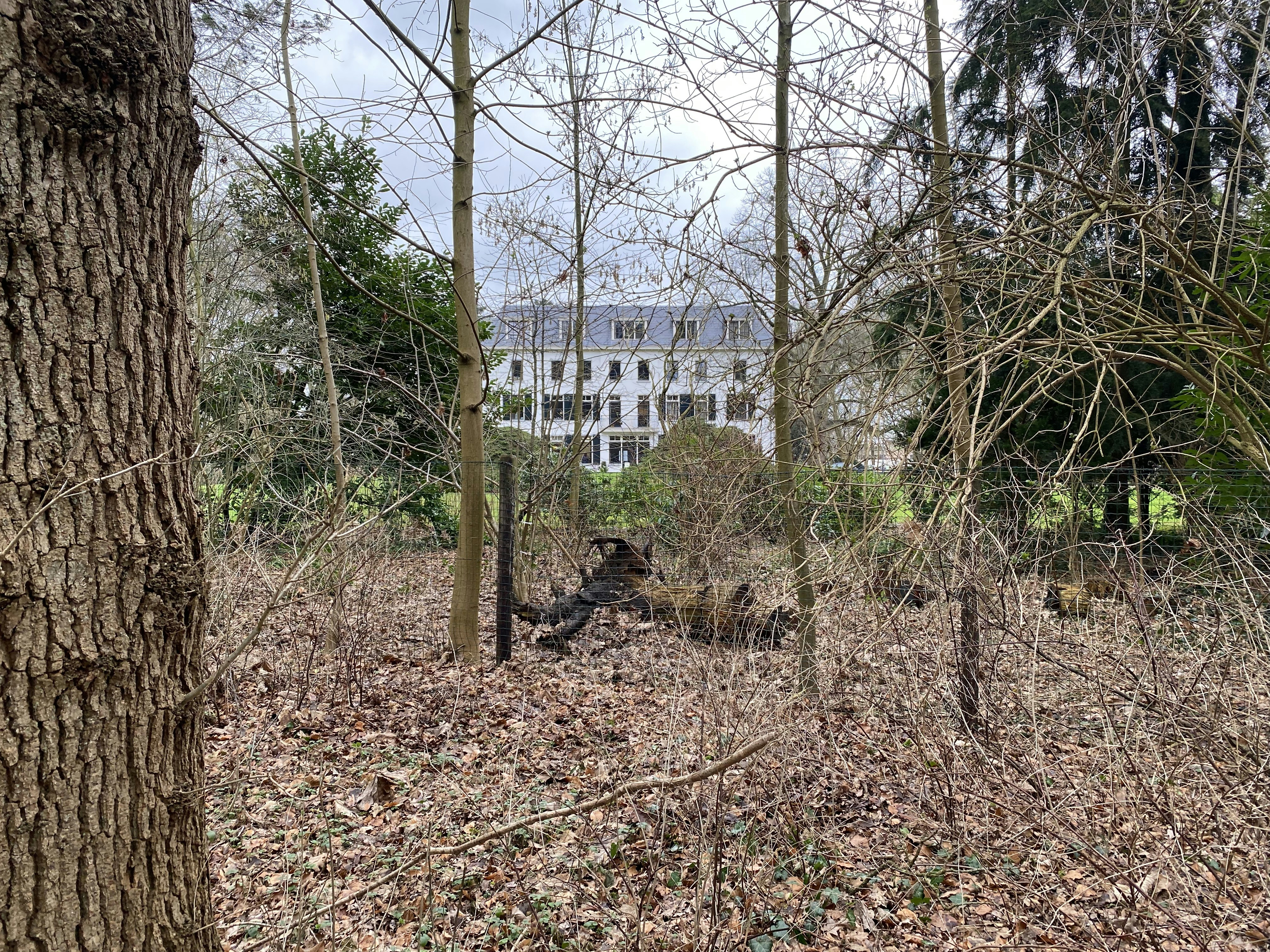 White villa in a dutch parc