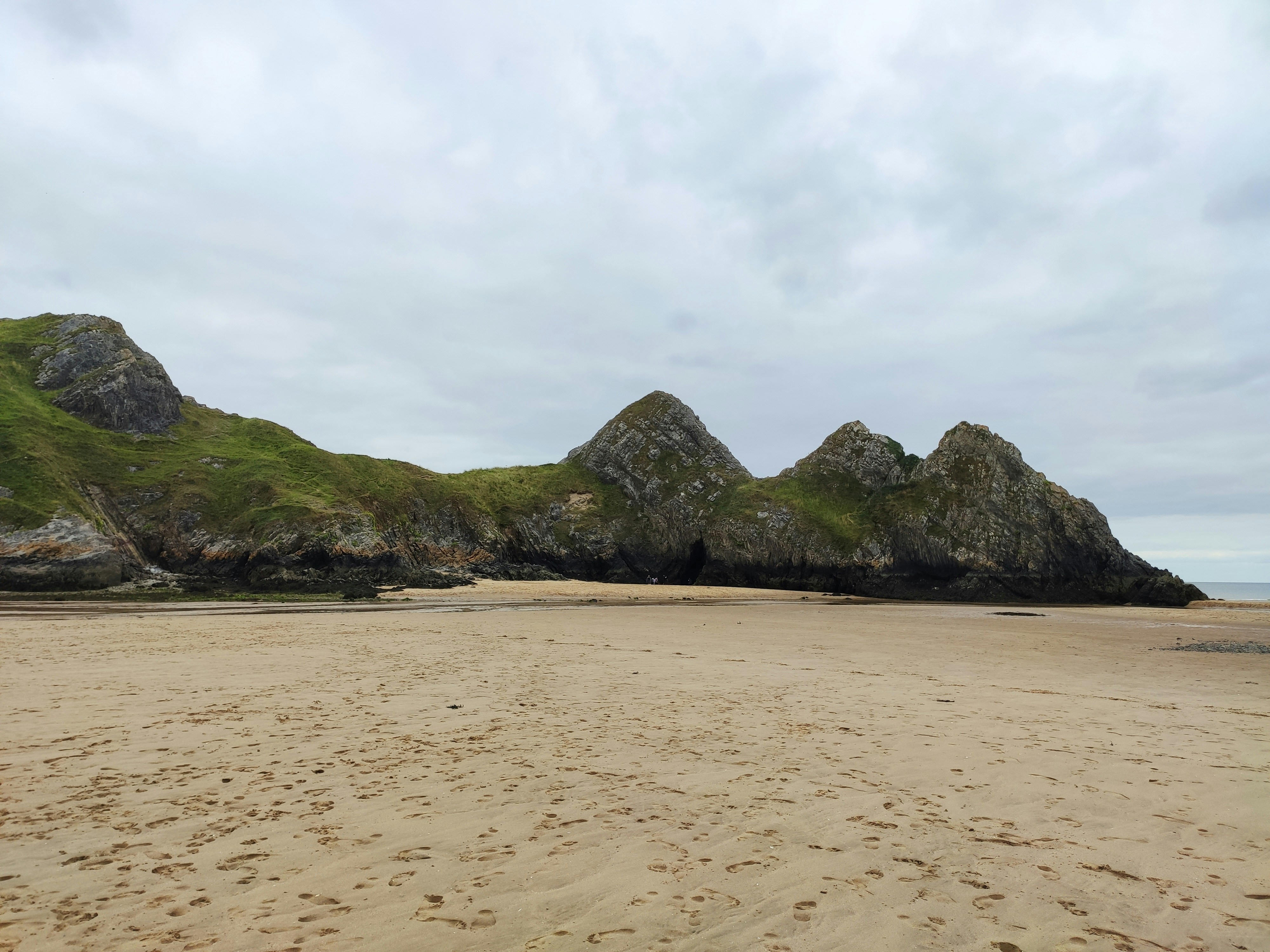 Millions engraved footsteps  | a sandy beach covered in lots of green grass