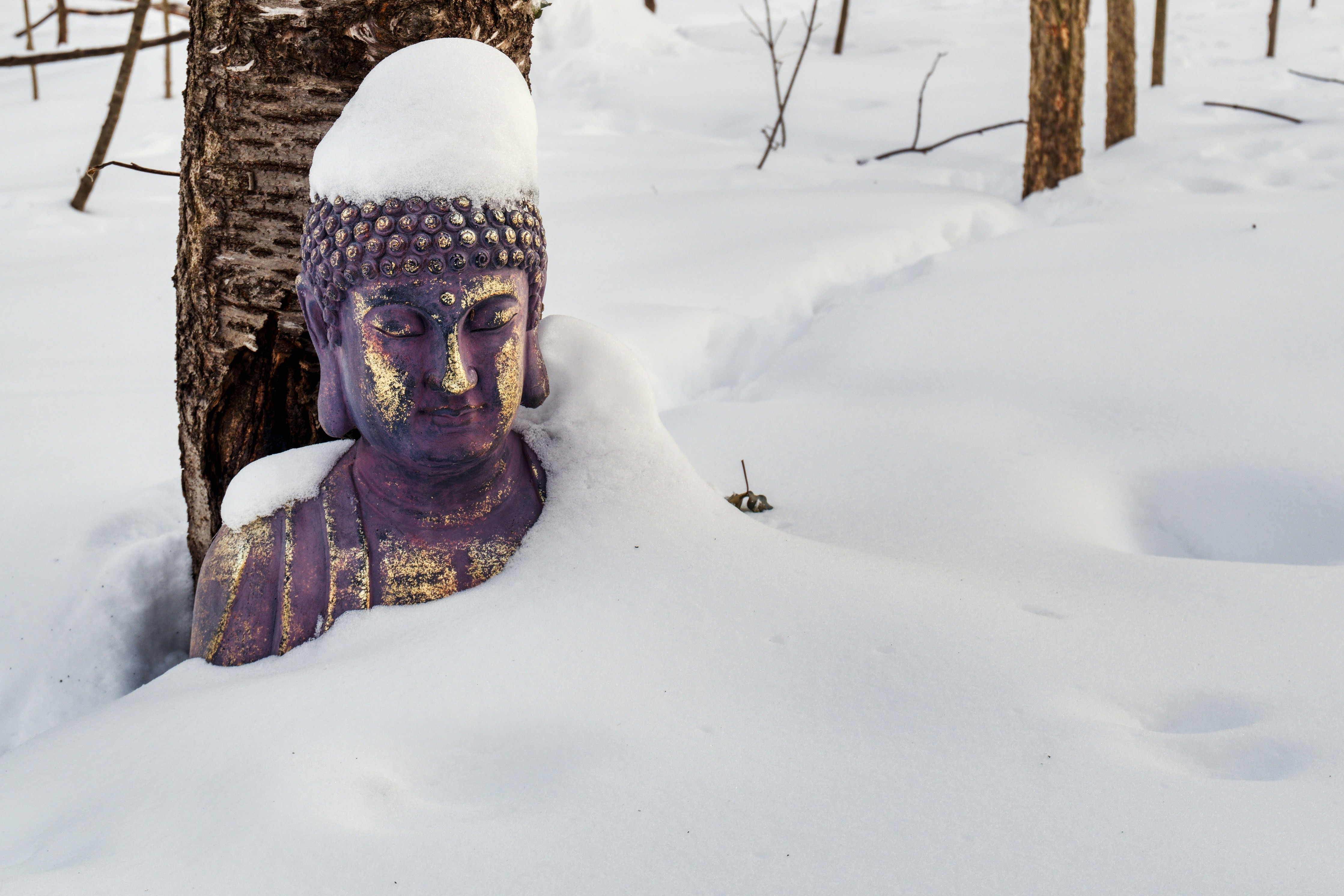Purple Buddha Statue Half Buried in Snow During Winter - A purple and gold Buddha statue sits half-buried in snow in a snowy forest scene. The statue is partially obscured by the snow, but its face and upper torso are visible. The snow is deep and white, covering the ground and the surrounding trees.