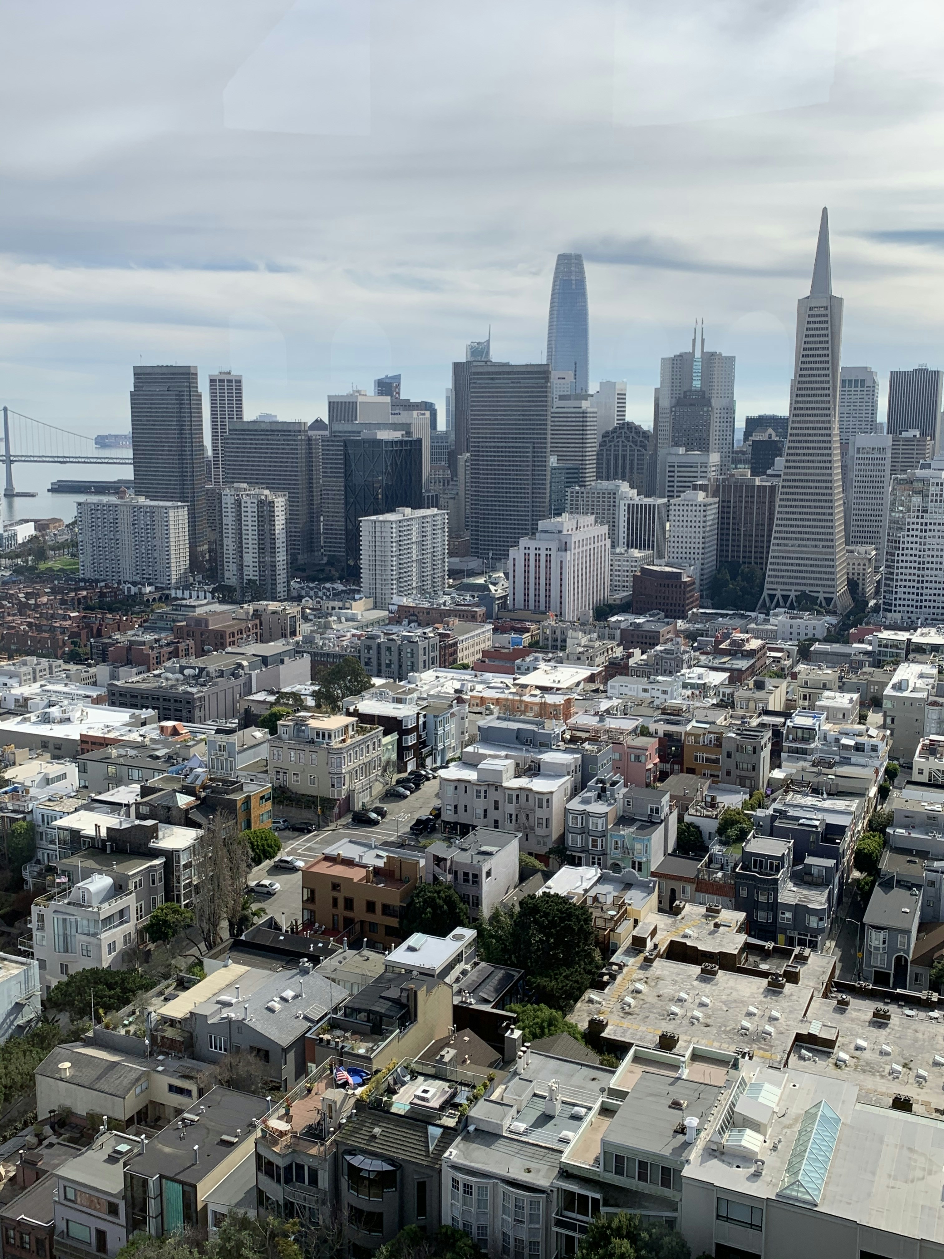 Aerial view of San Francisco showcasing a blend of modern skyscrapers and historic homes. The iconic Transamerica Pyramid stands prominently against the cityscape.