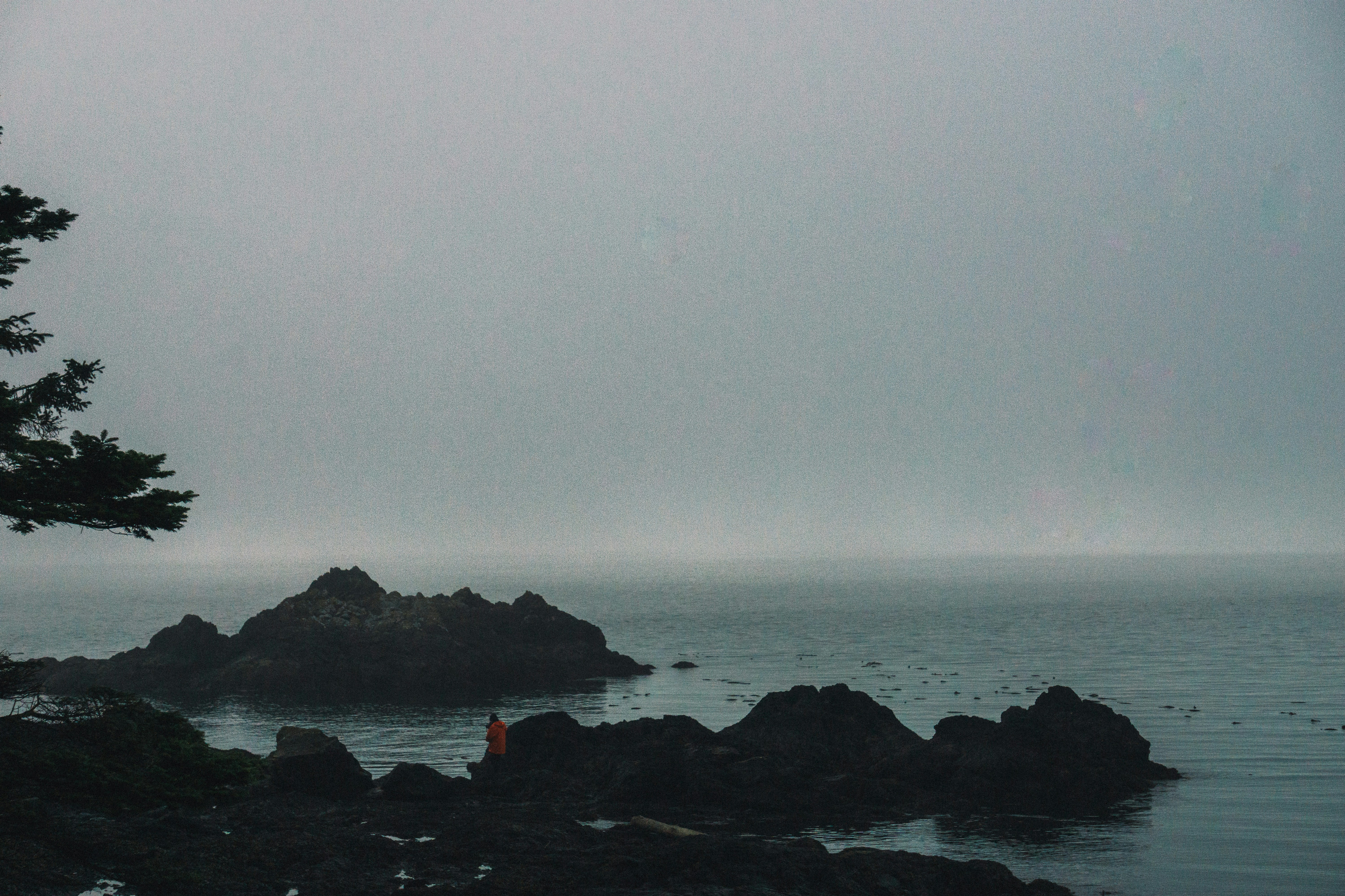 A lone figure in an orange jacket stands on rocky shores, surrounded by a foggy seascape, evoking a sense of tranquility and isolation.