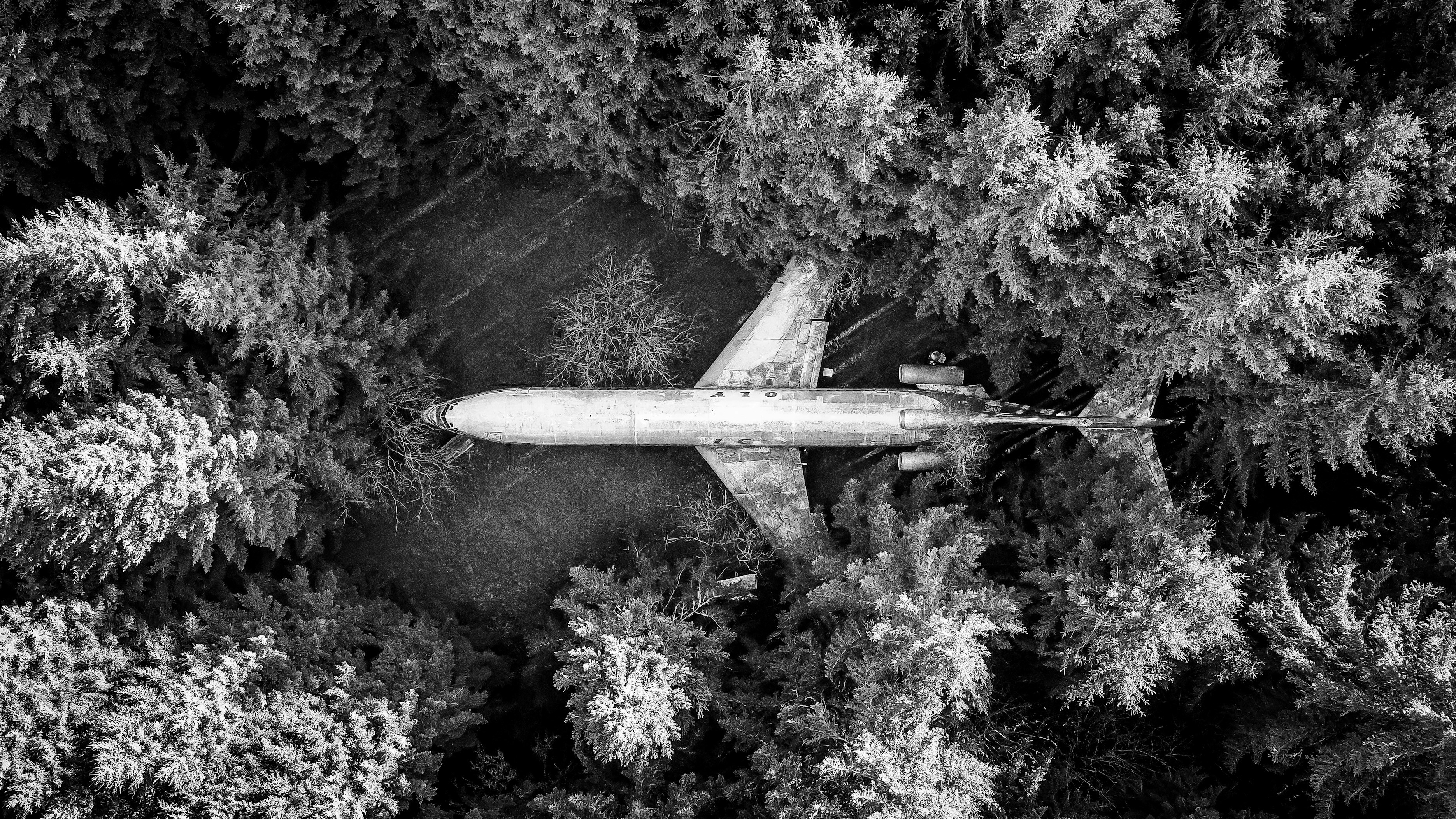 An aerial view of a plane flying over a forest photo – Free Forest ...