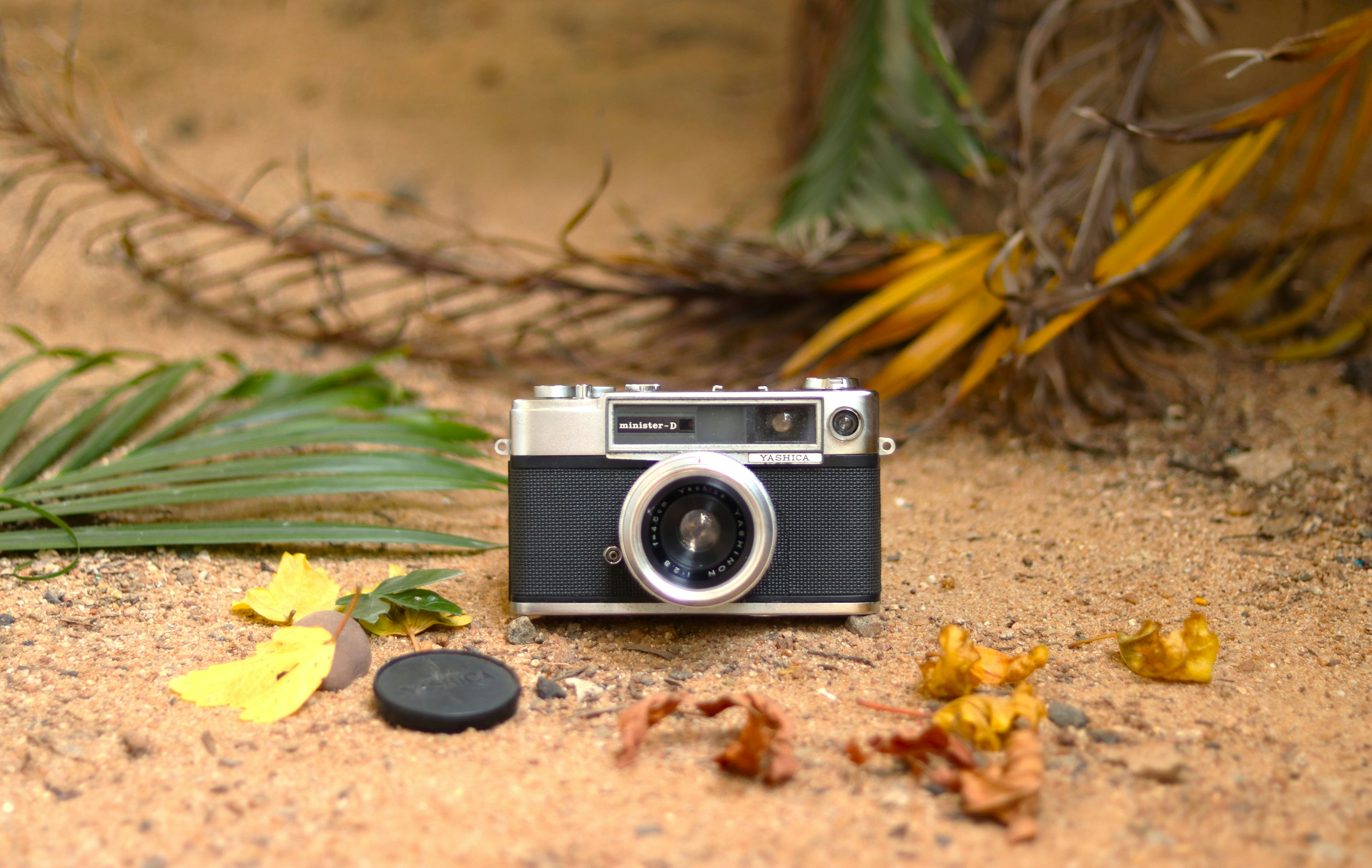 A vintage camera rests on sandy ground surrounded by colorful autumn leaves and tropical foliage. The scene captures the essence of nostalgia and the beauty of nature.