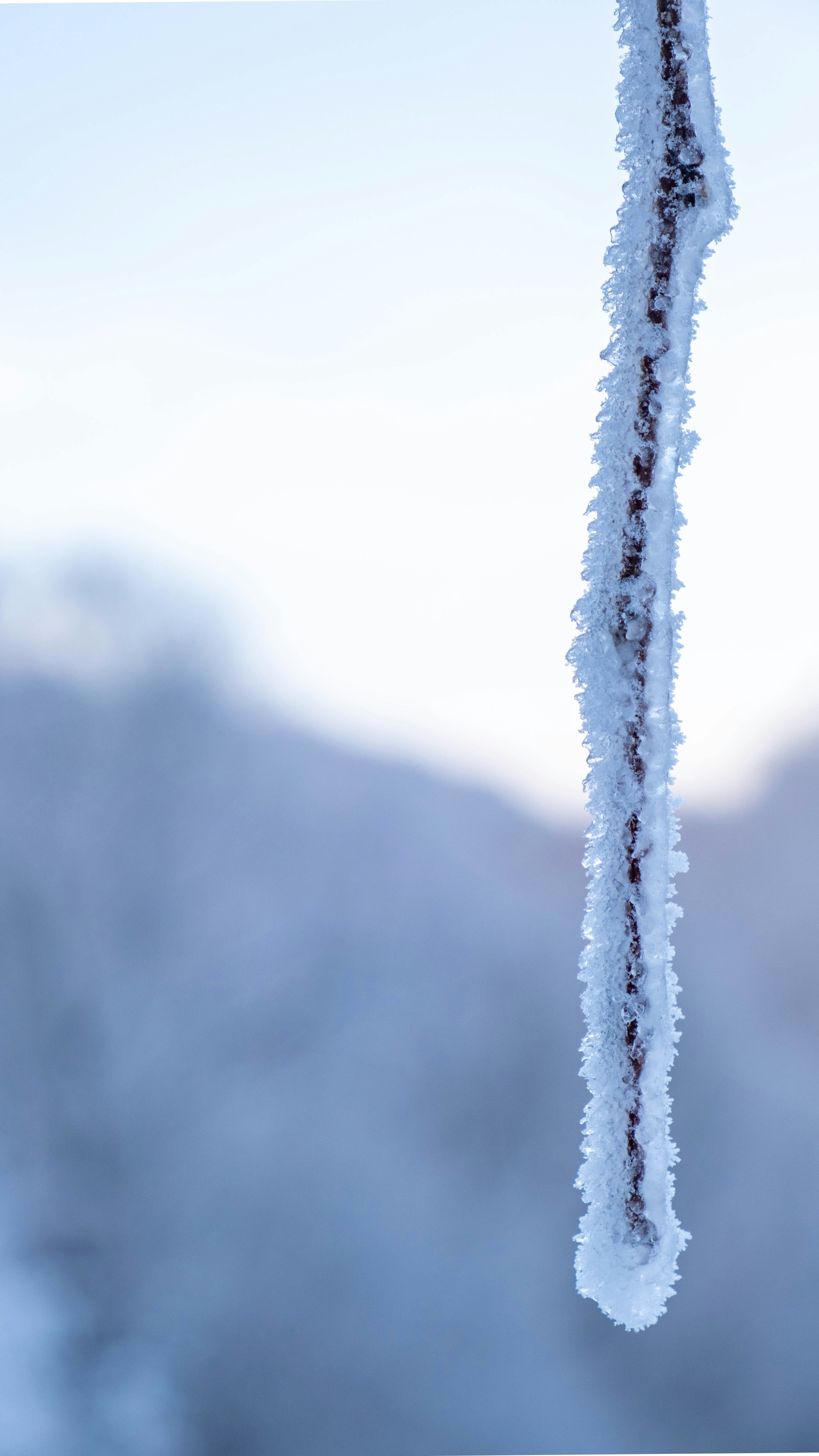 Frozen Elegance: Nature's Icy Sculpture
