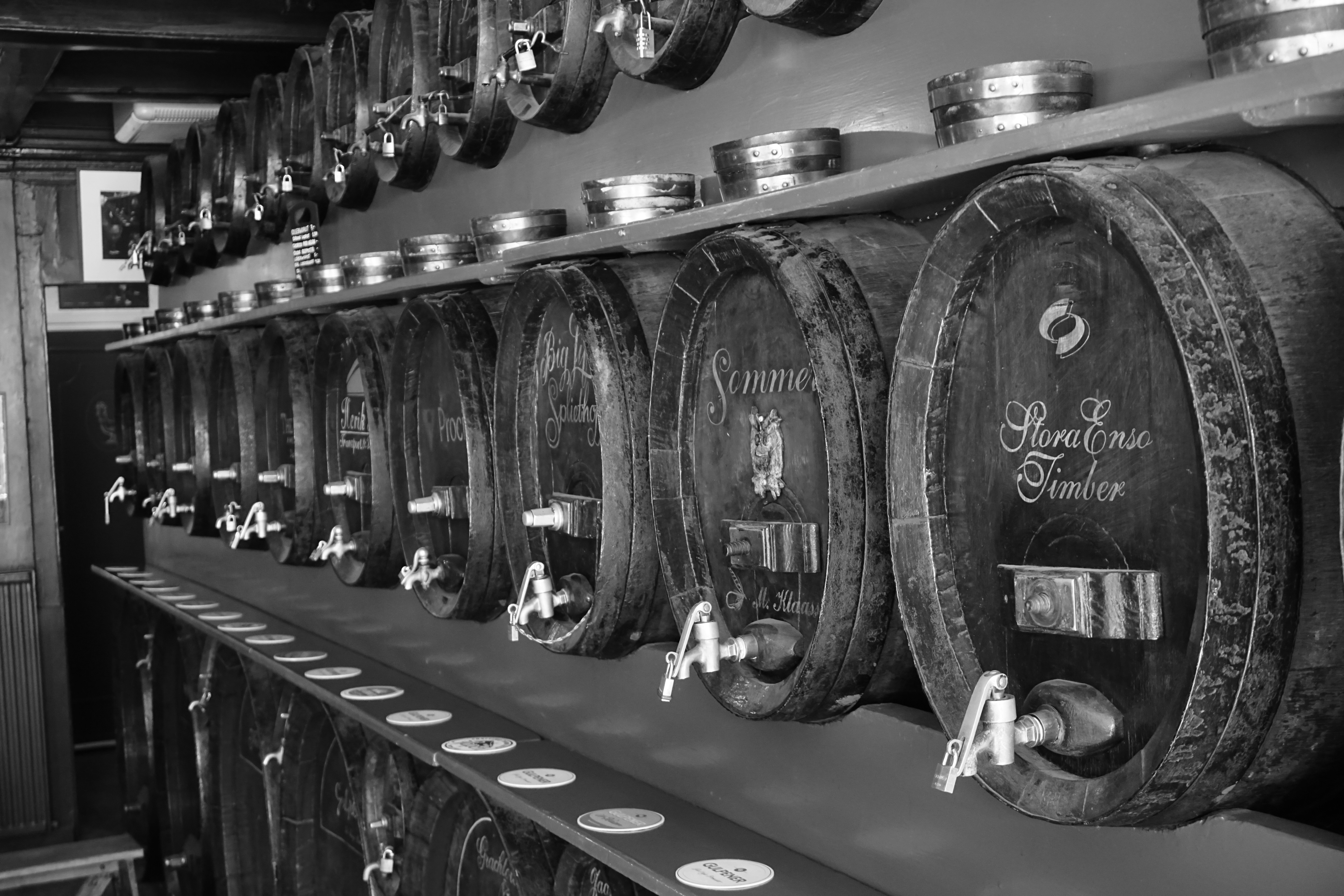Monochrome Oak Echoes: A Barrel-lined Cellar Portrait