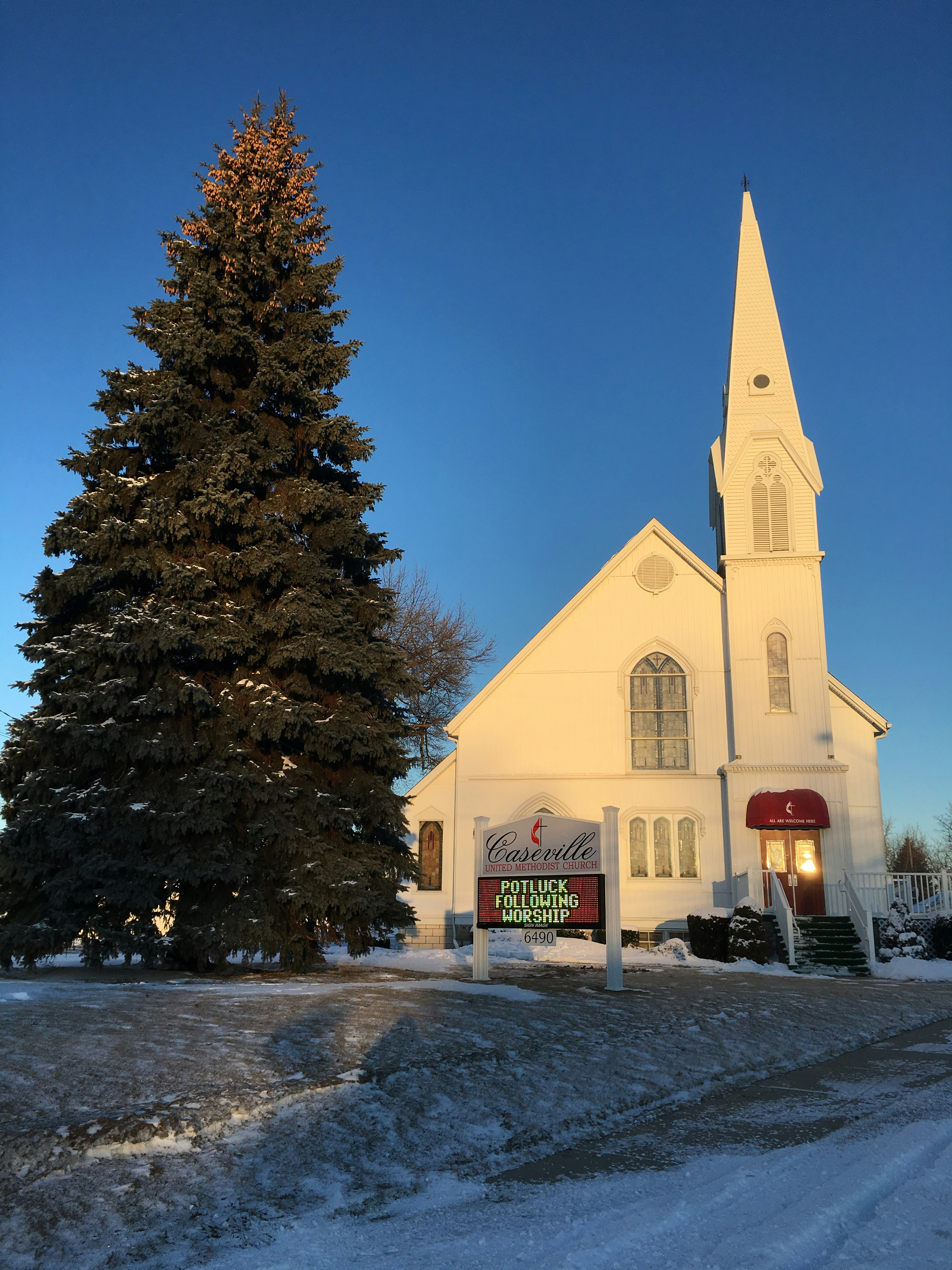 A charming white church nestled beside a towering evergreen, blanketed in snow under a clear blue sky.