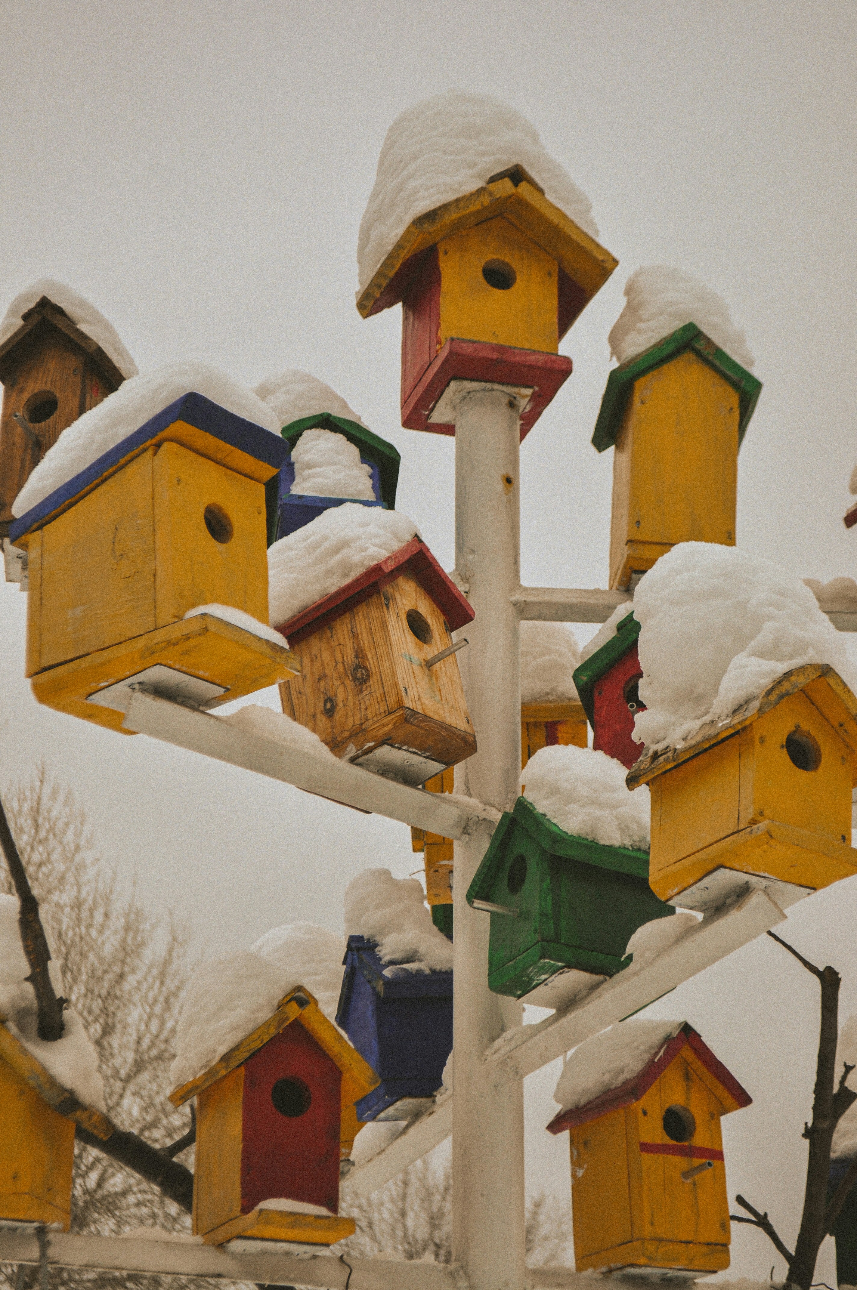 a bunch of bird houses that are covered in snow