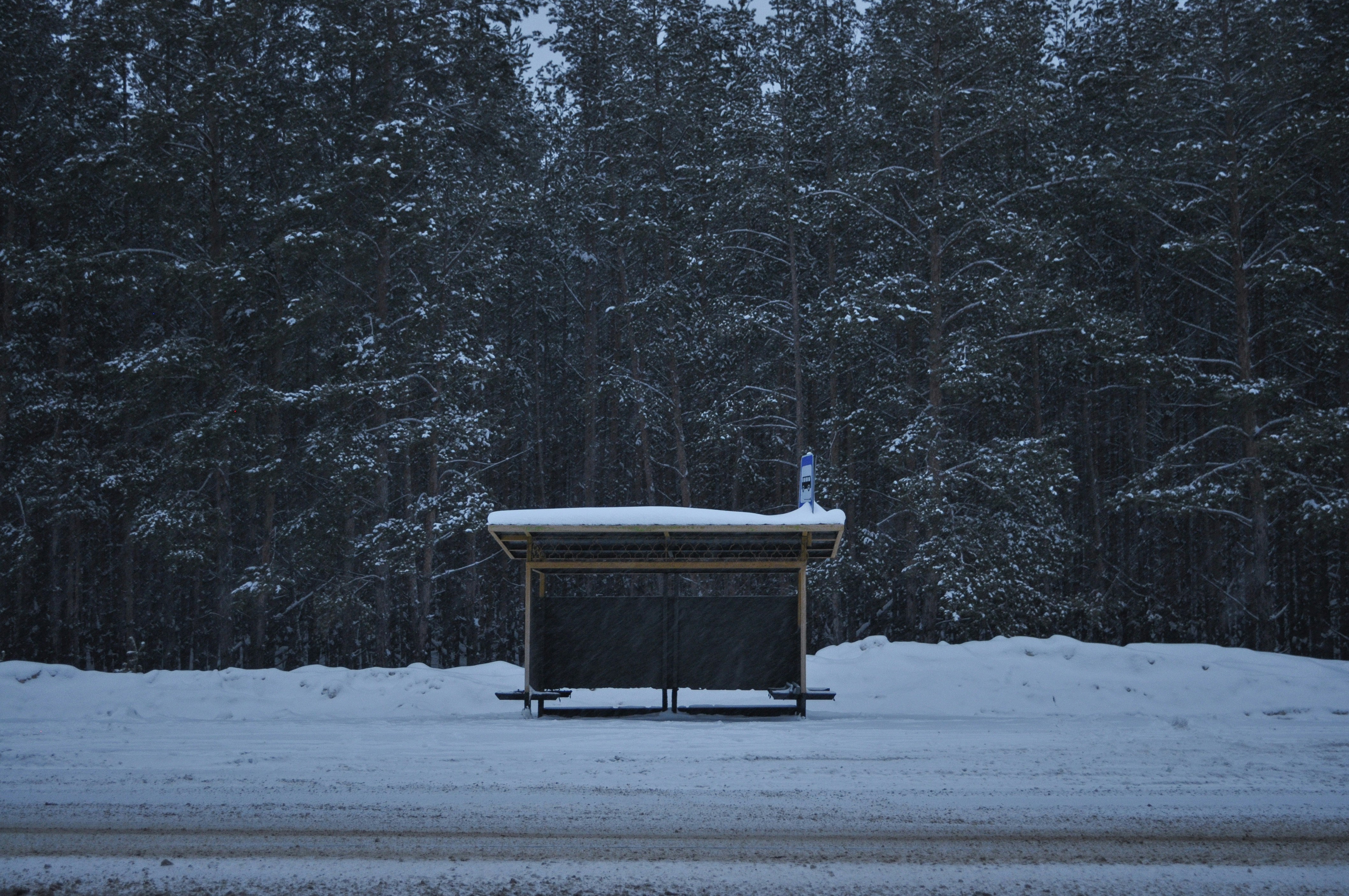 Blue Hour Stillness: A Lone Snowbound Bus Shelter