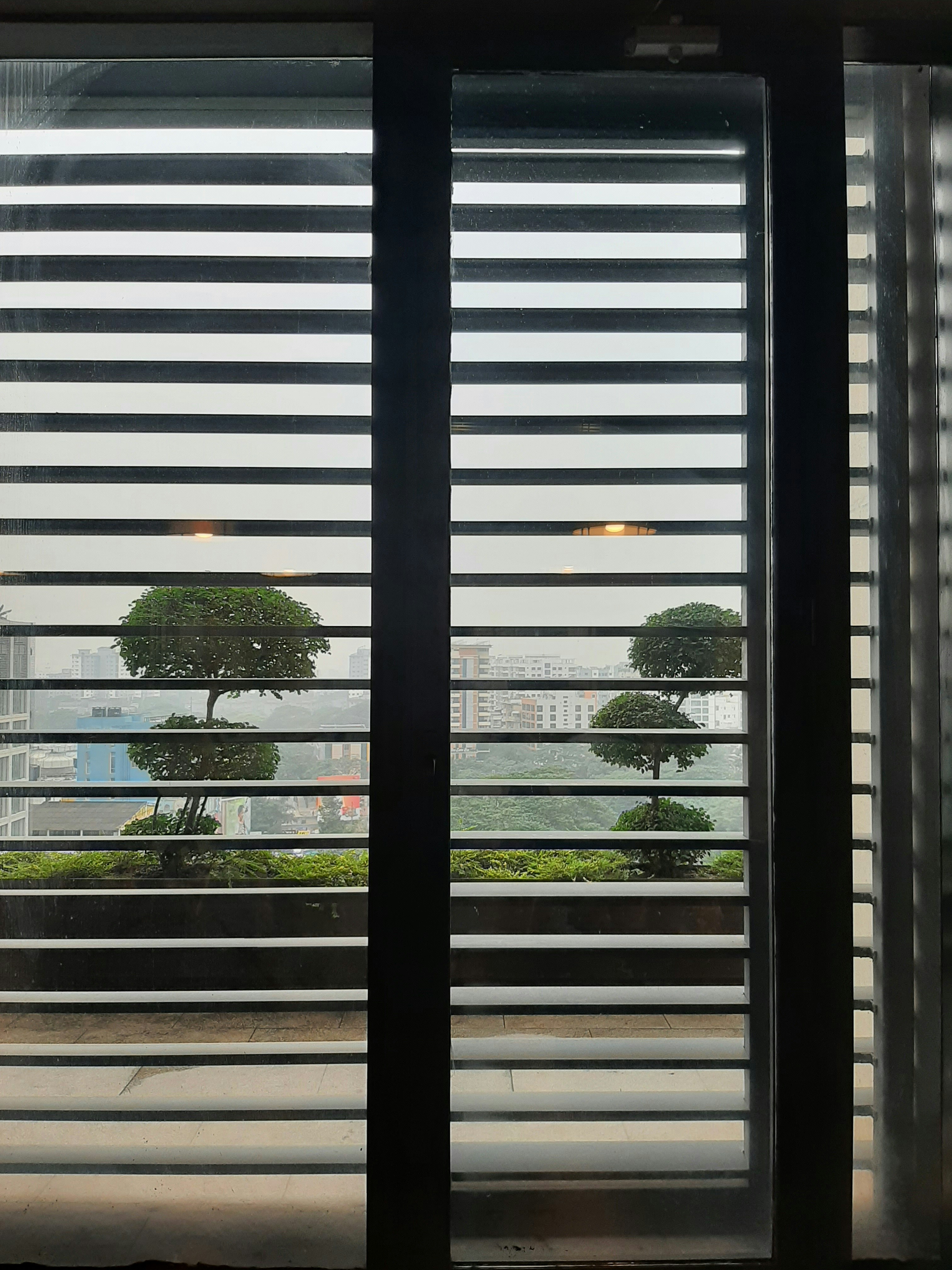 Foto Una ventana con vistas a los árboles en el exterior – Imagen ...