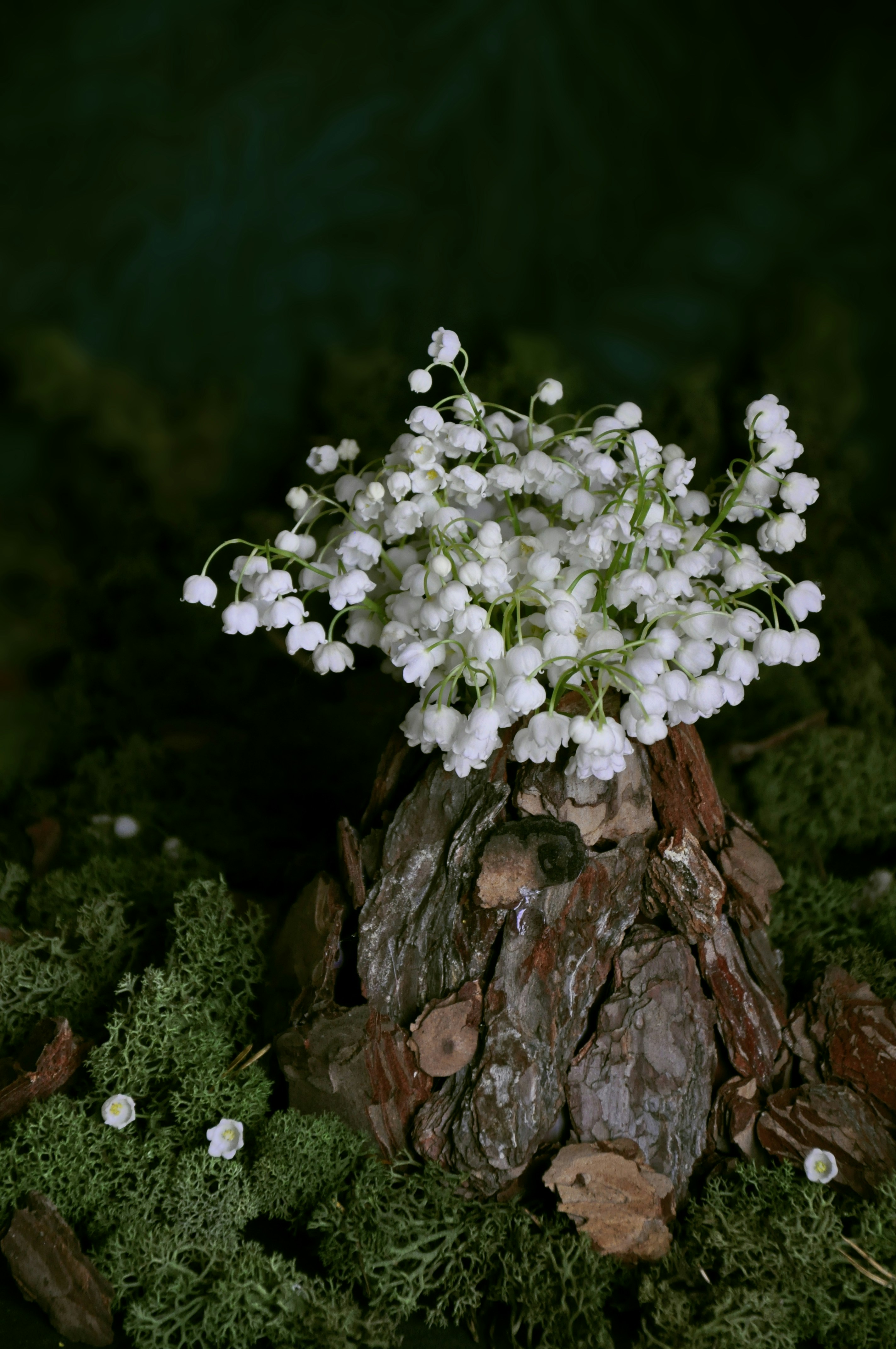 Lily of the Valley Crown on a Rugged Rock: Quiet Contrast in Green