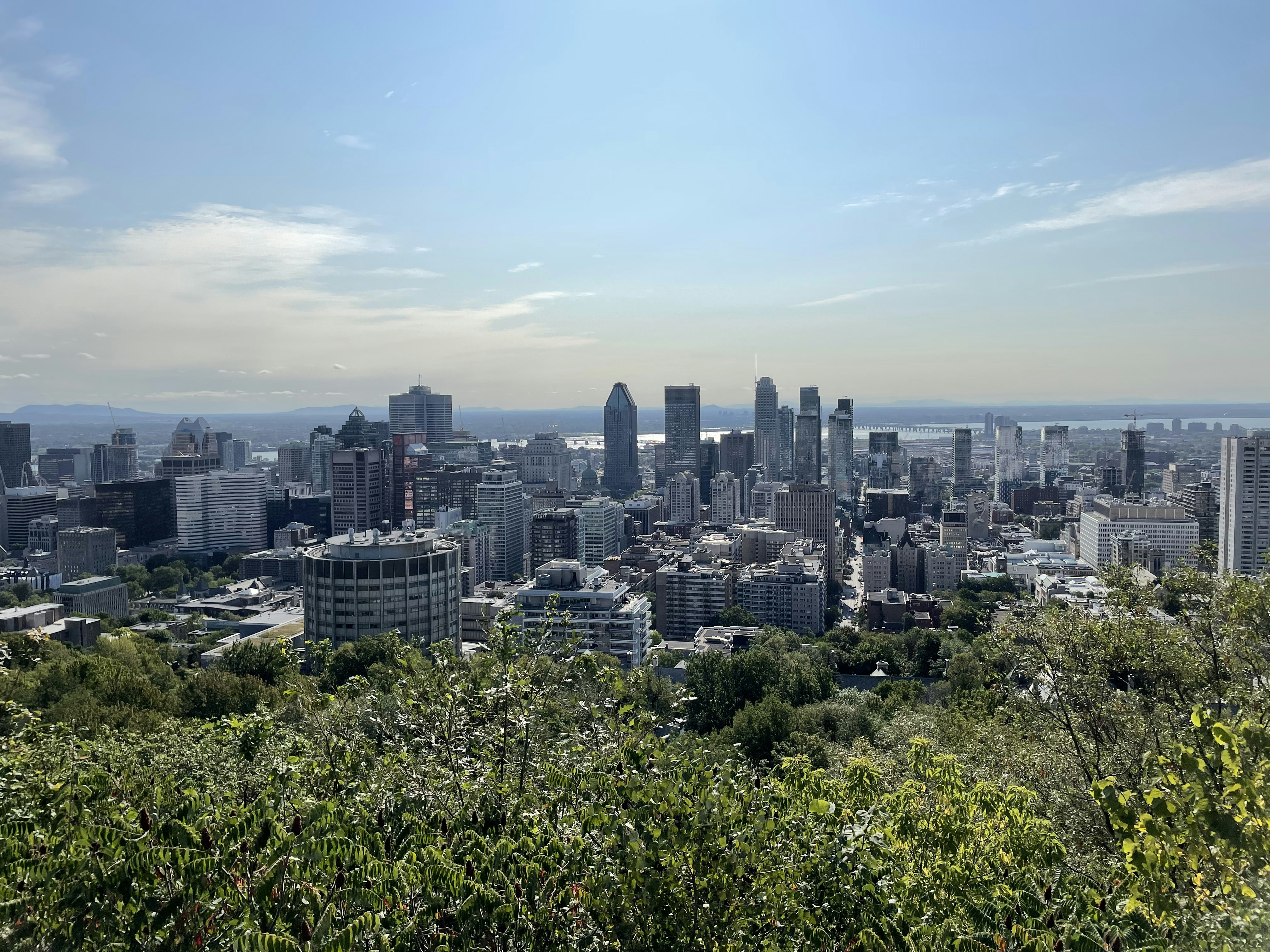 City skyline viewed from a lush, elevated green space under a bright blue sky.