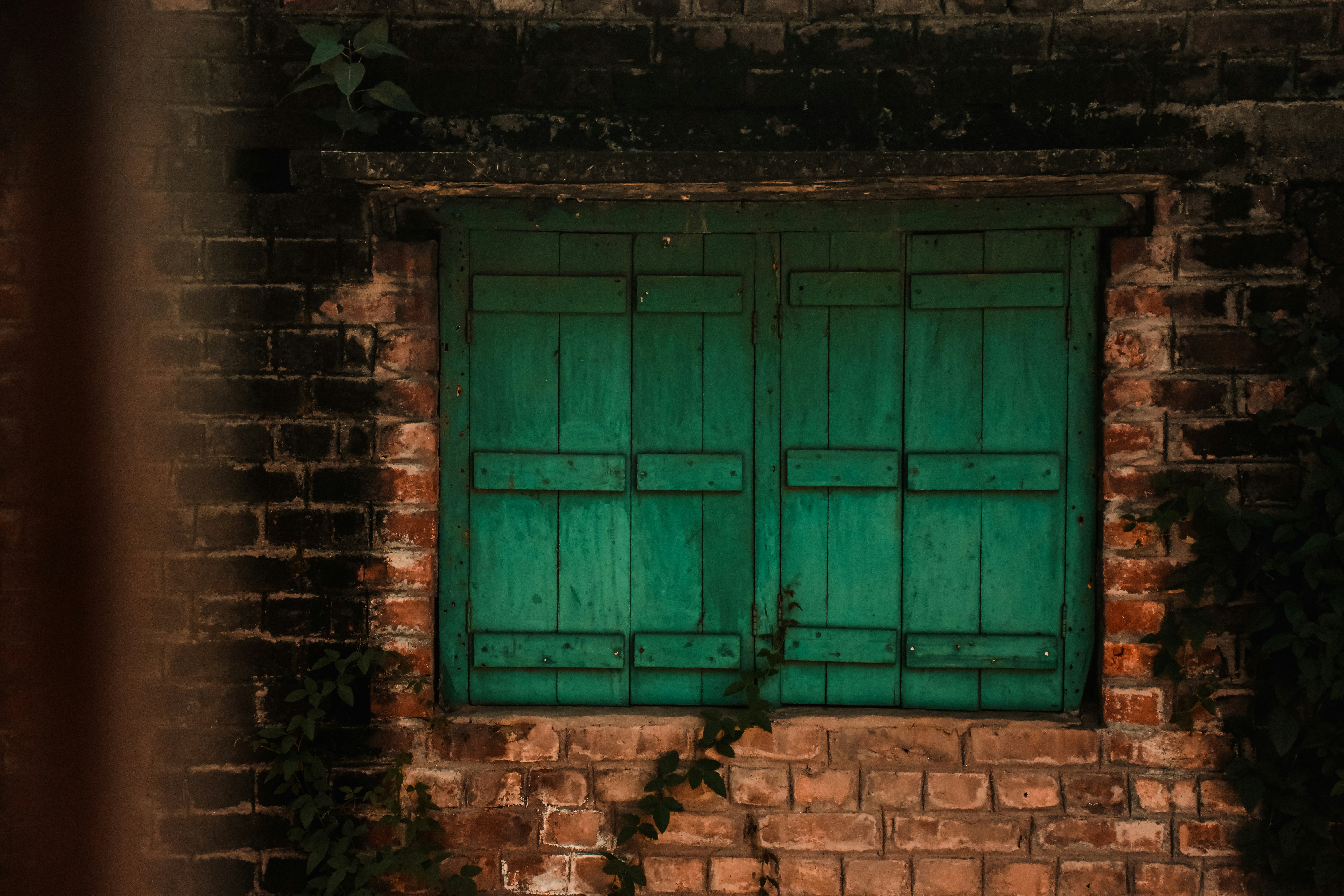 Emerald Gatekeeper: Weathered Green Shutters in Brick Wall