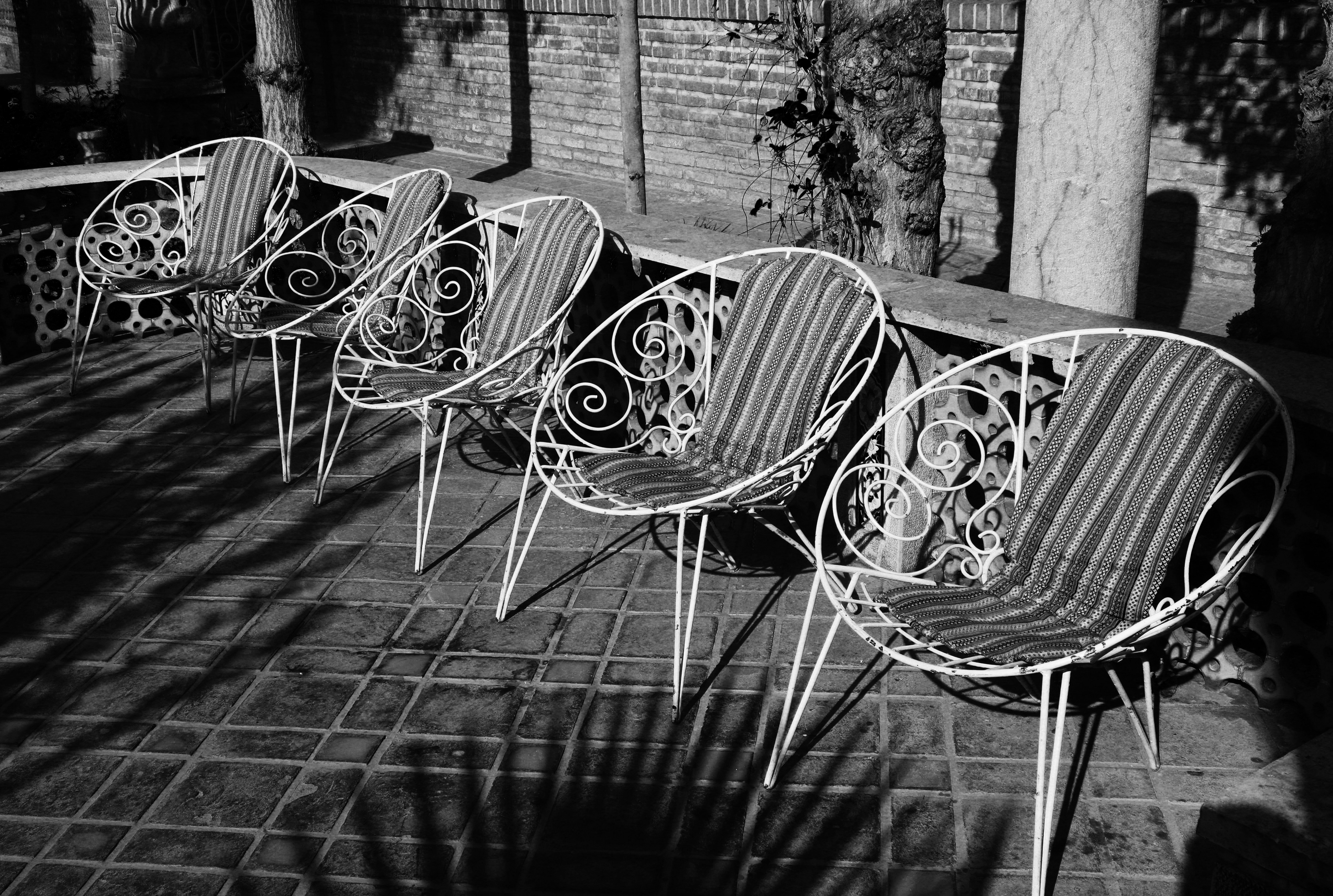 Row of Wrought-Iron Chairs Cast in Long Shadows Across a Monochrome Terrace
