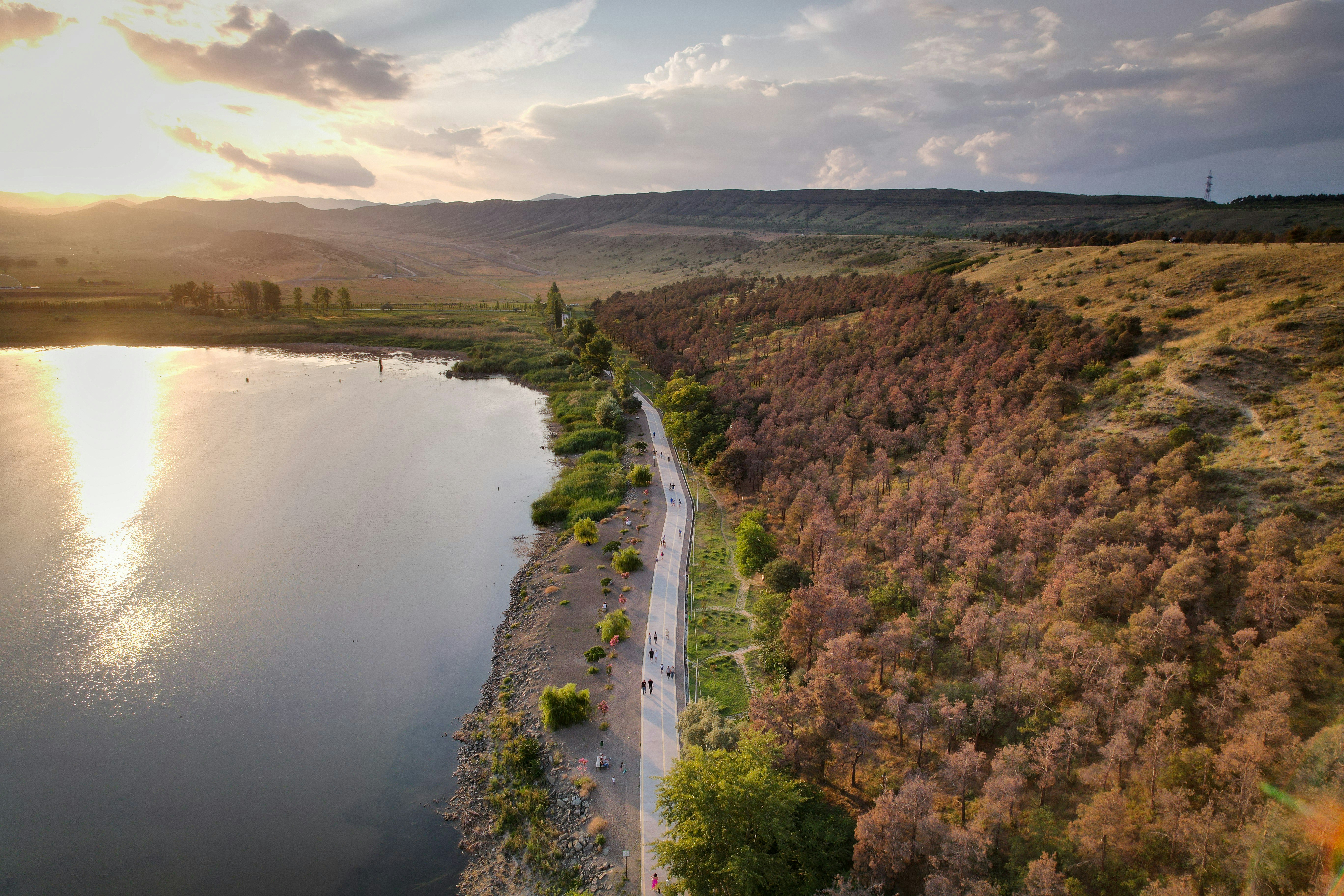 Sunlit lake beside a winding path amid lush trees and rolling hills.