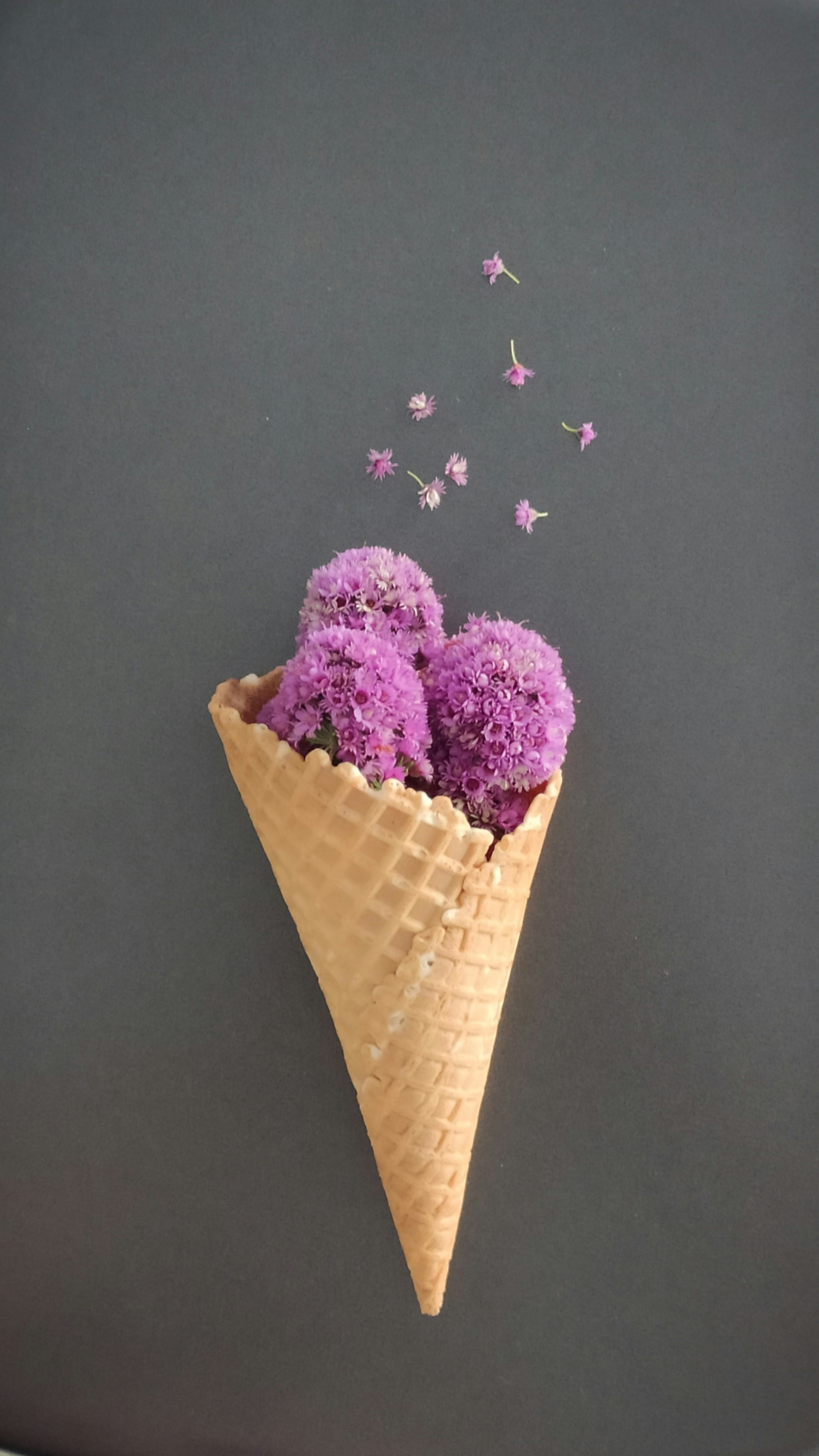 Photograph of a waffle cone filled with purple flowers against a dark background.