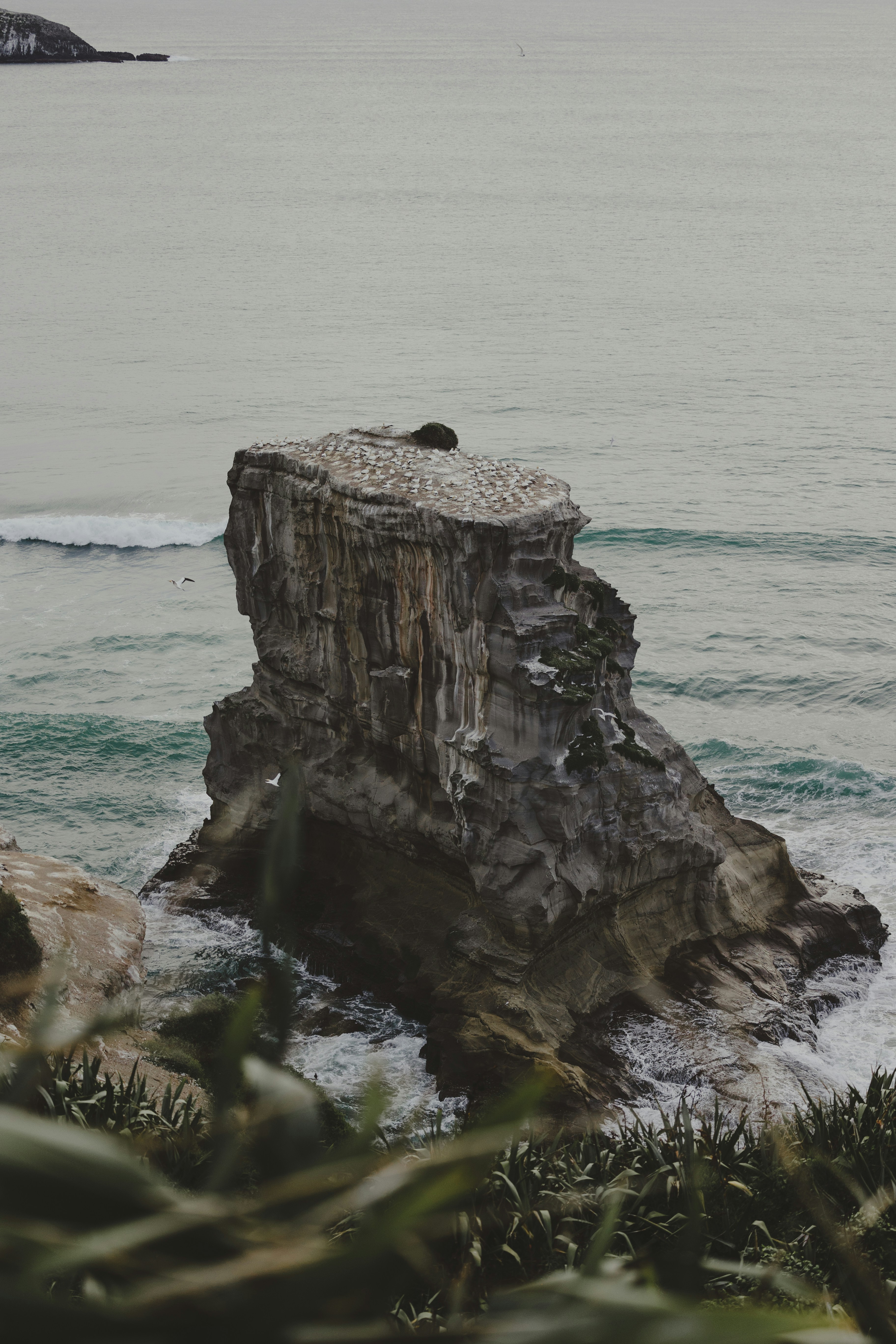 Lonely Sea Stack: Weathered Rock Rising Over a Green-Fringed Shore