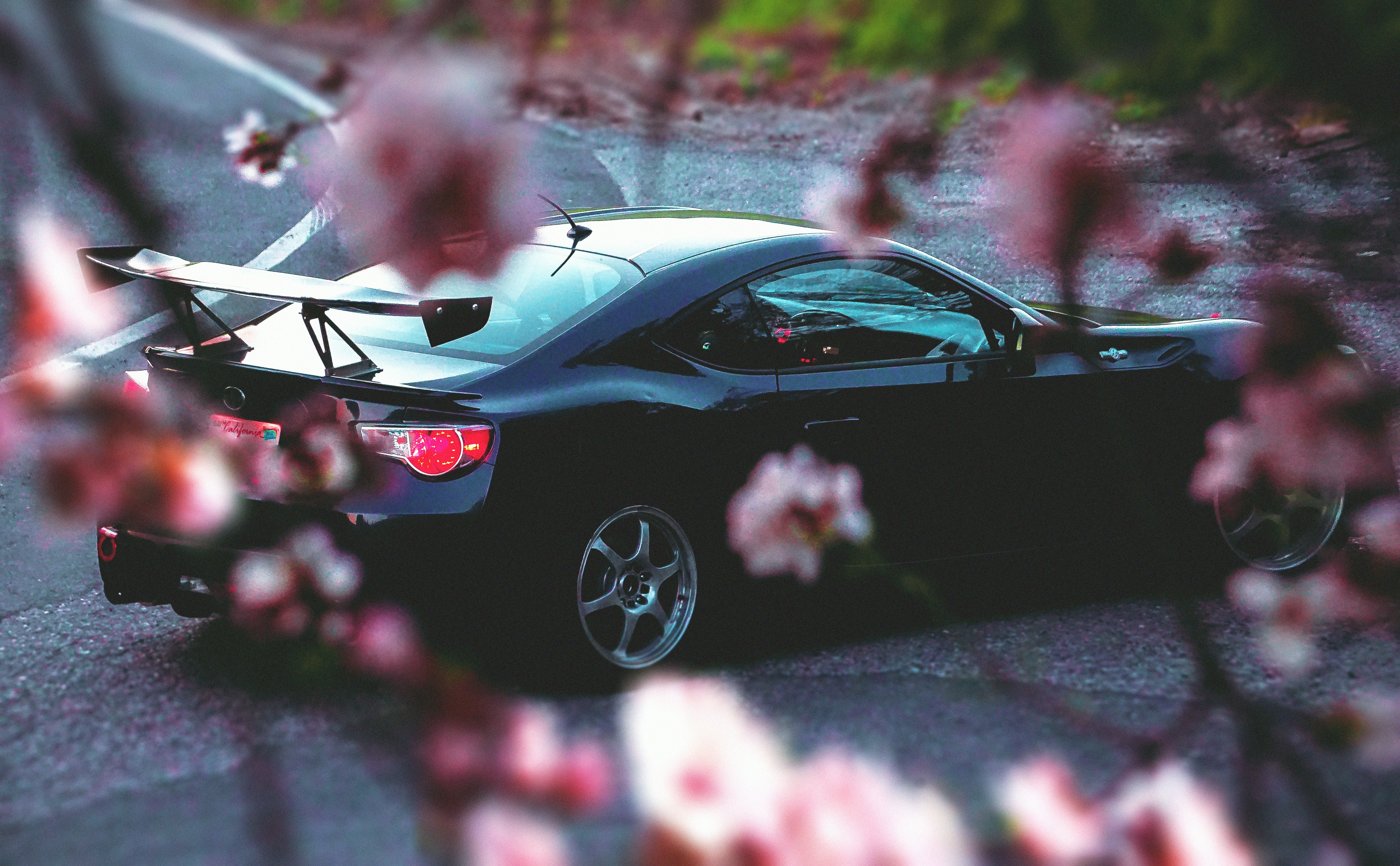 A sleek black sports car parked on a winding road, framed by delicate pink cherry blossoms in full bloom.