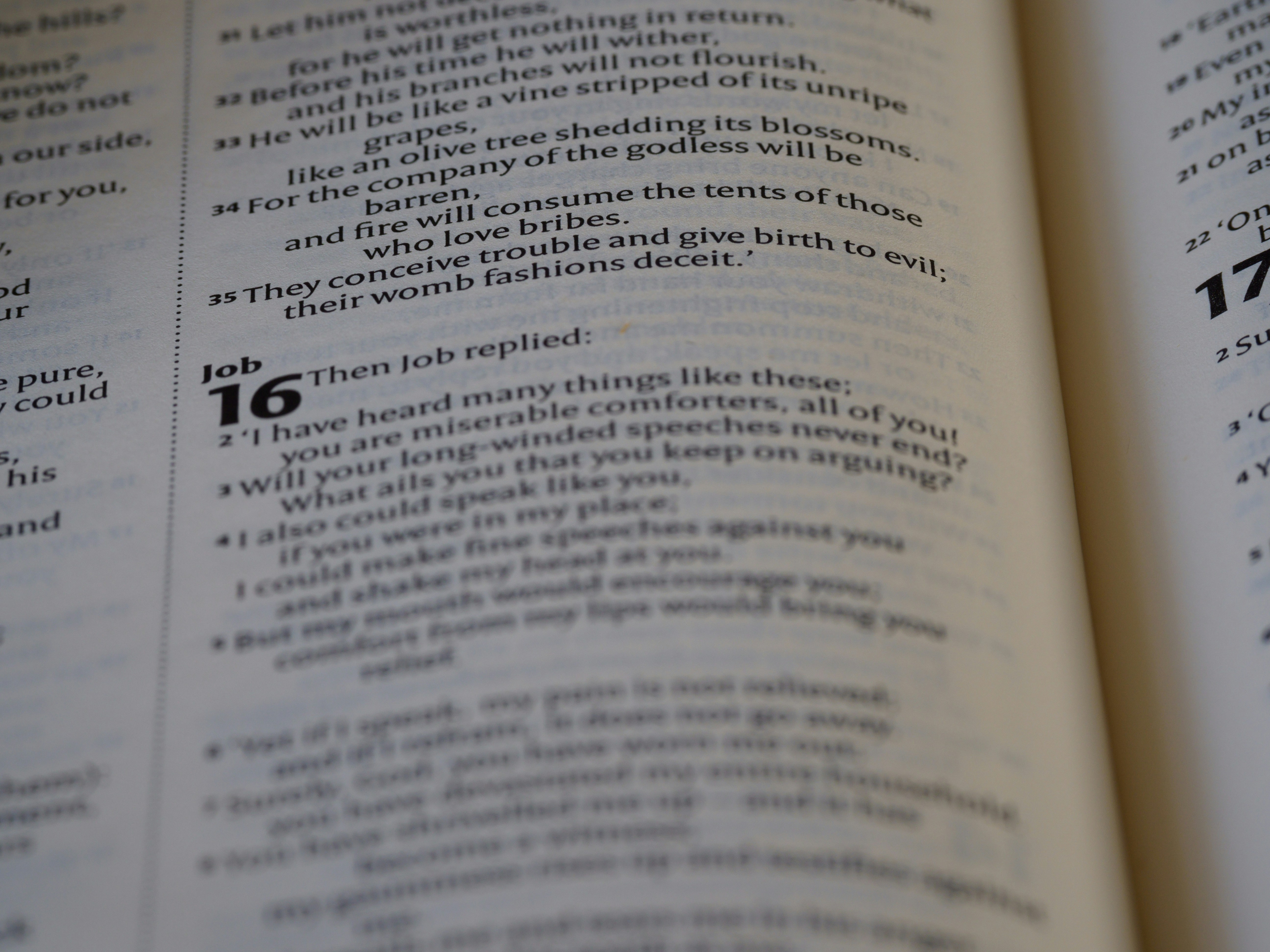 A close up of an open book with numbers on it photo – Free Grey Image ...