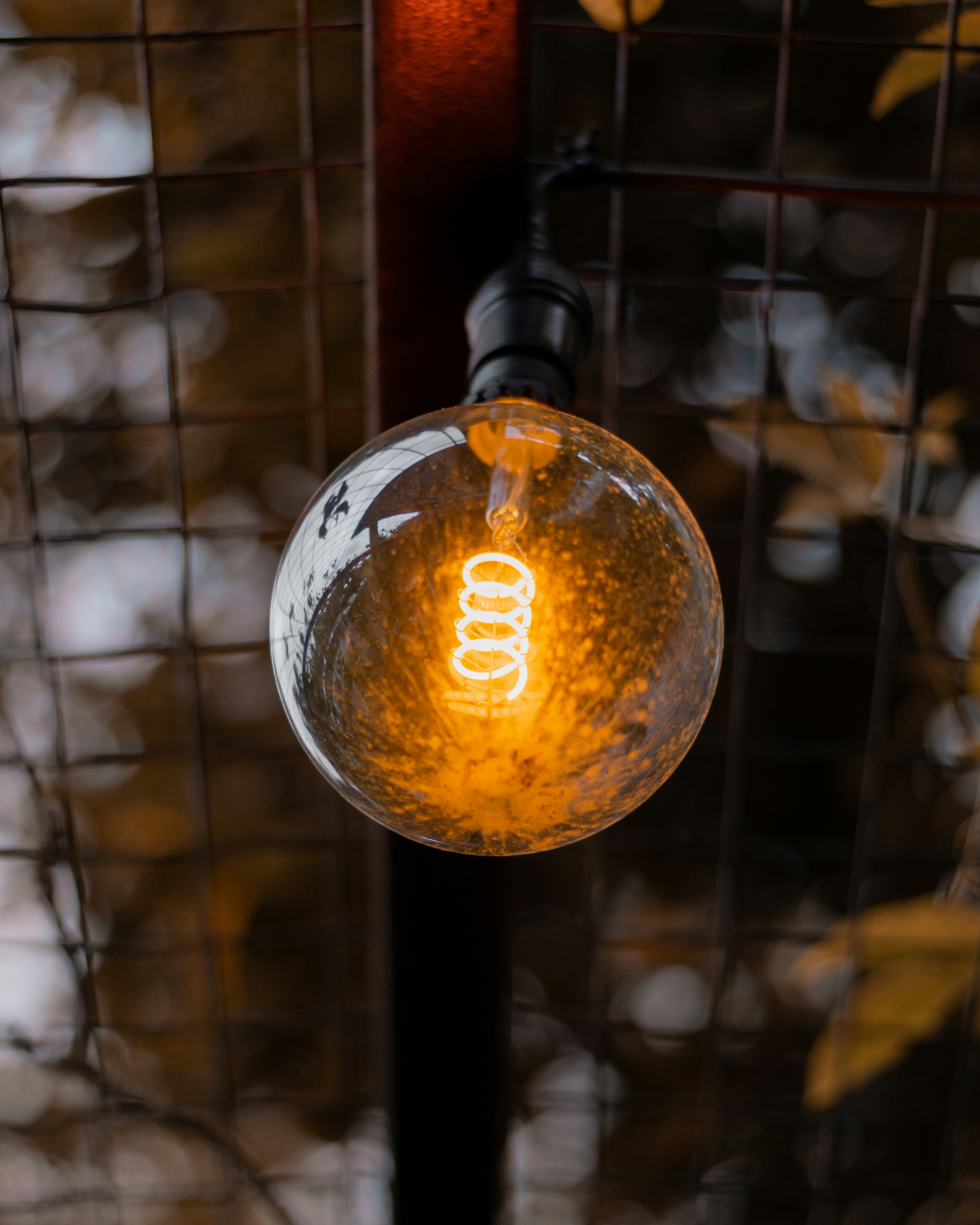 a light bulb hanging from a wire with a tree in the background