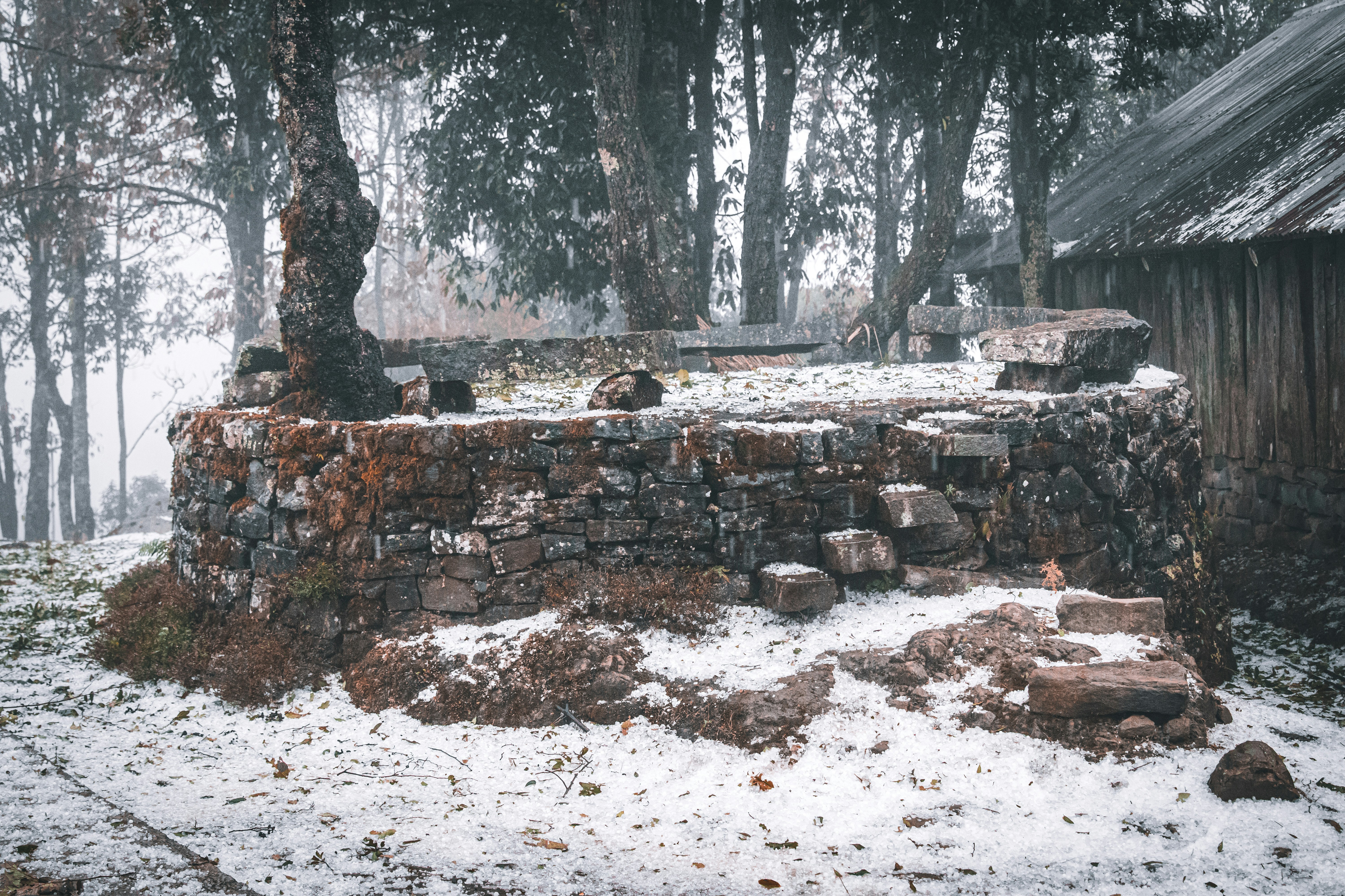 A stone wall in the middle of a snowy forest photo – Free Benreu Image ...